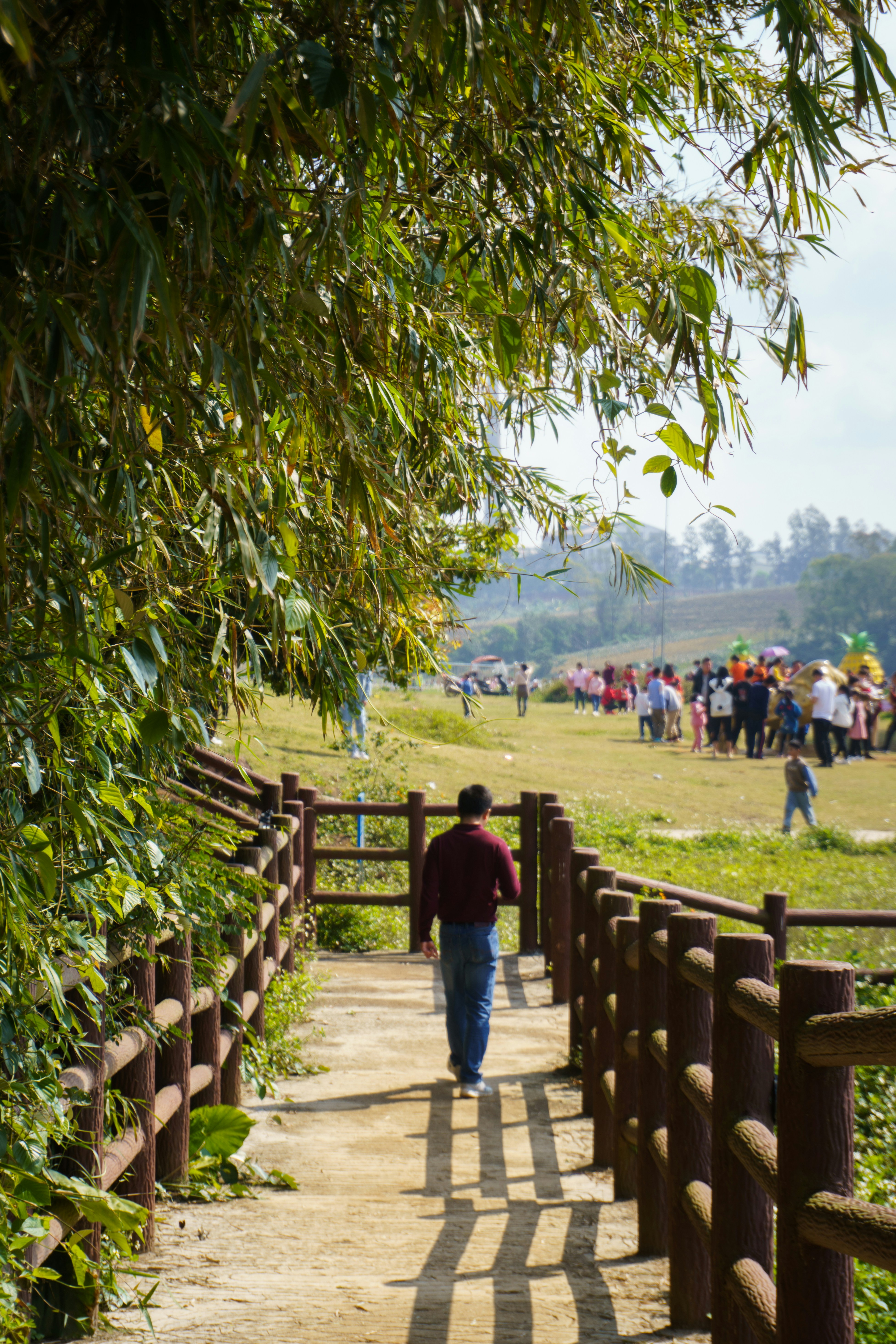 people walking on pathway near green trees during daytime
