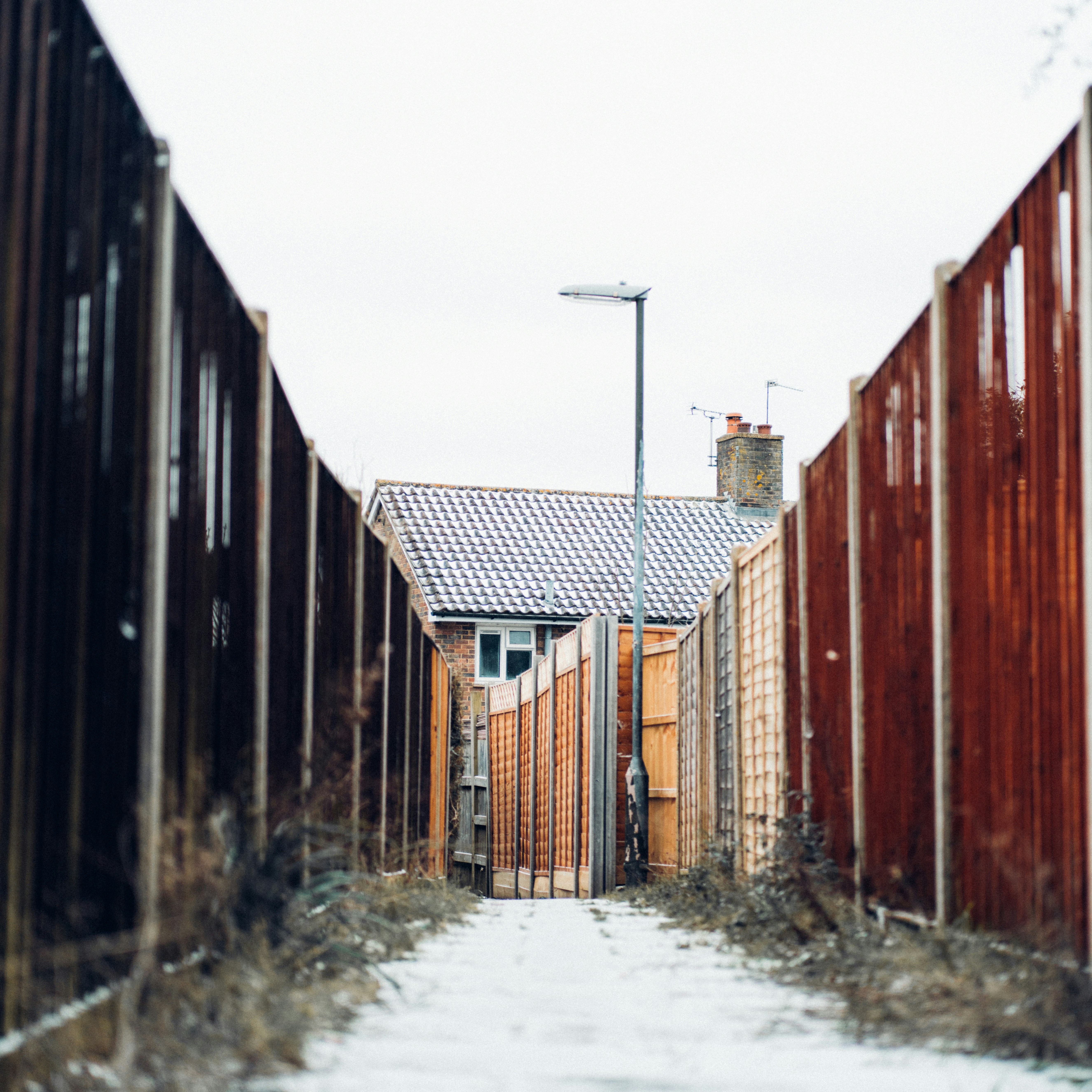 Narrow pathway flanked by wooden fences leading towards a distant house, evoking a sense of exploration in an urban setting.