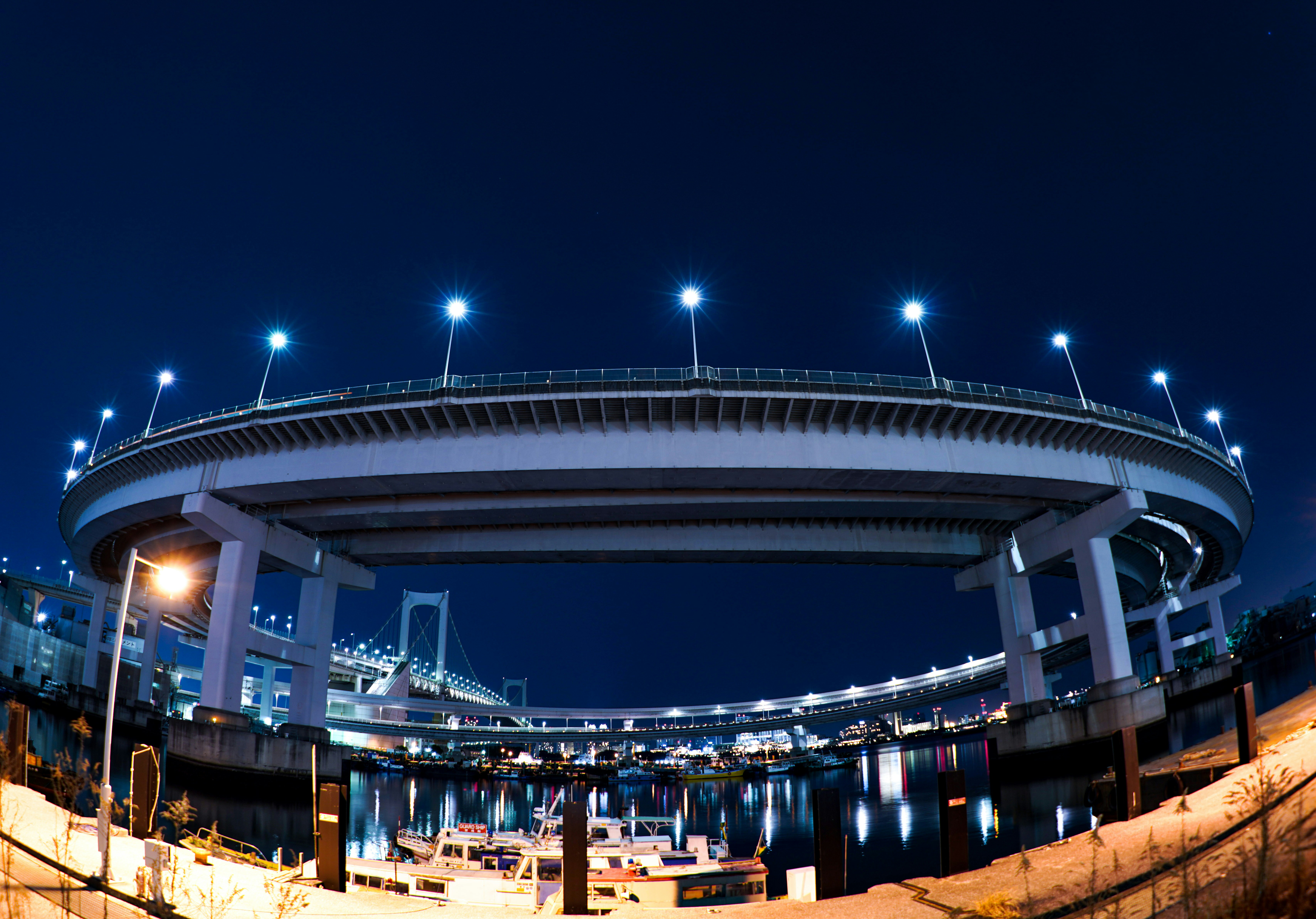 Under the Neon Arc: Nighttime Marina Bridge Pier