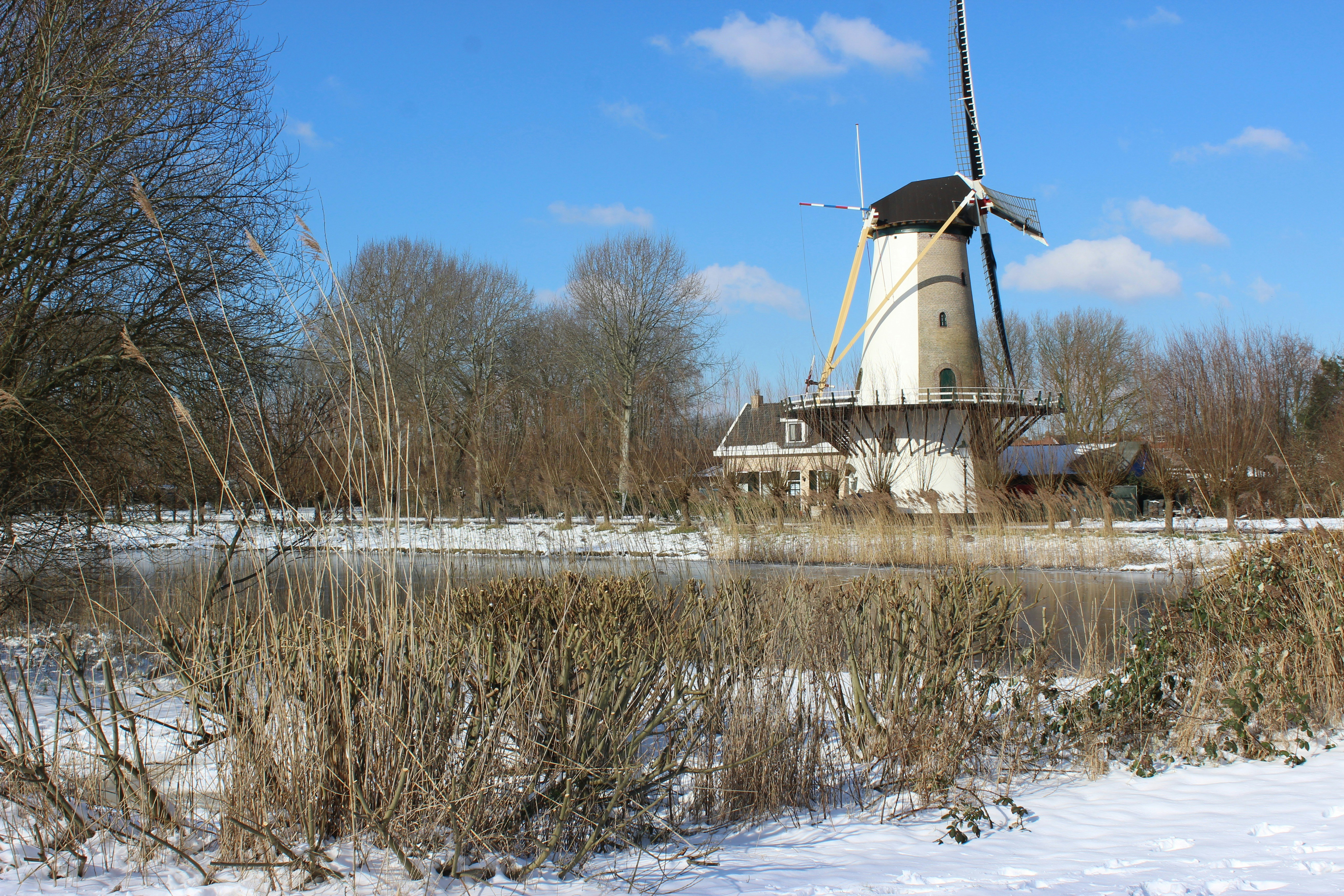 White windmill on snow covered ground under blue sky during daytime ...