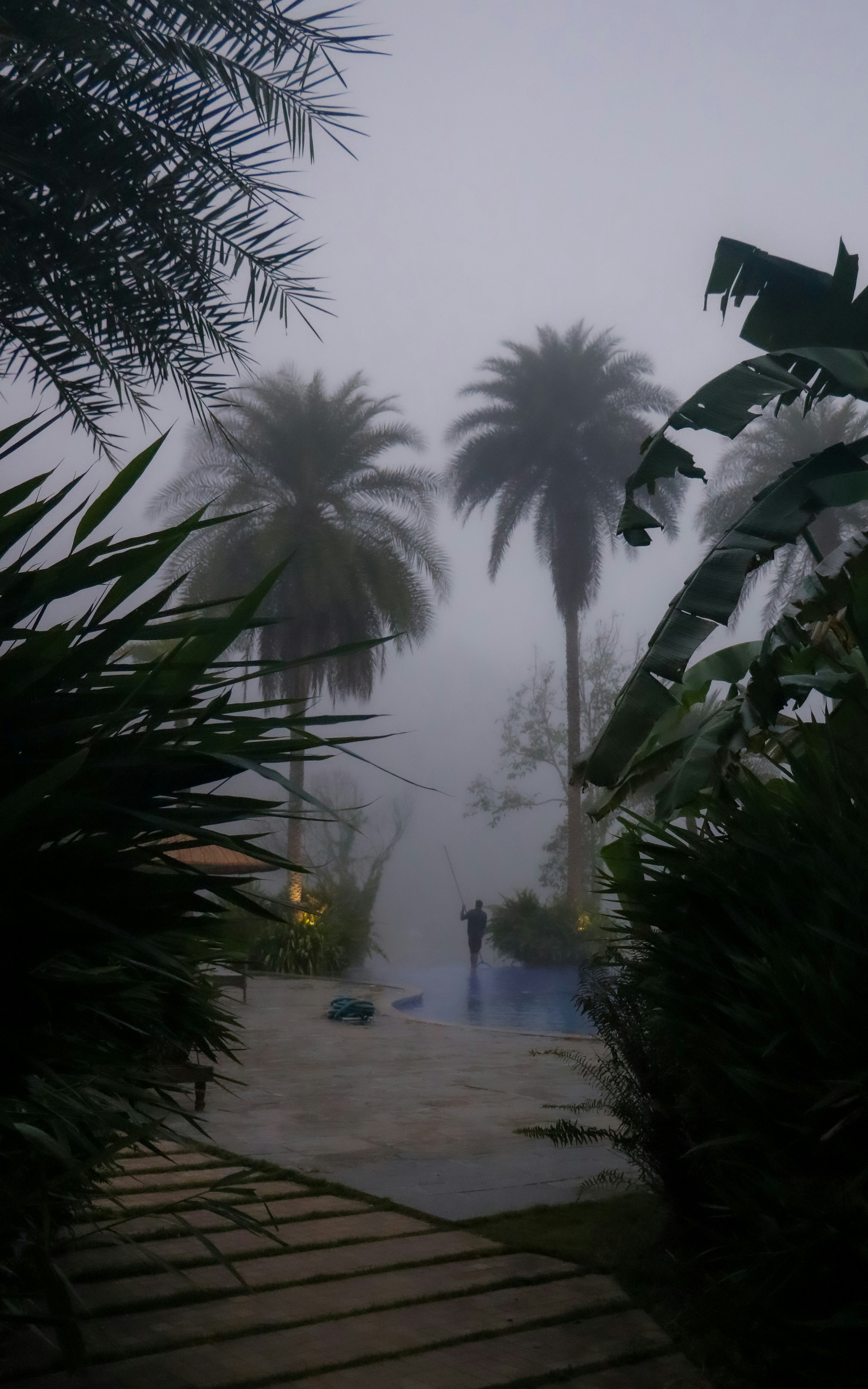 Mohit Yadav (@khairwal) | Komunitas Foto Unsplash