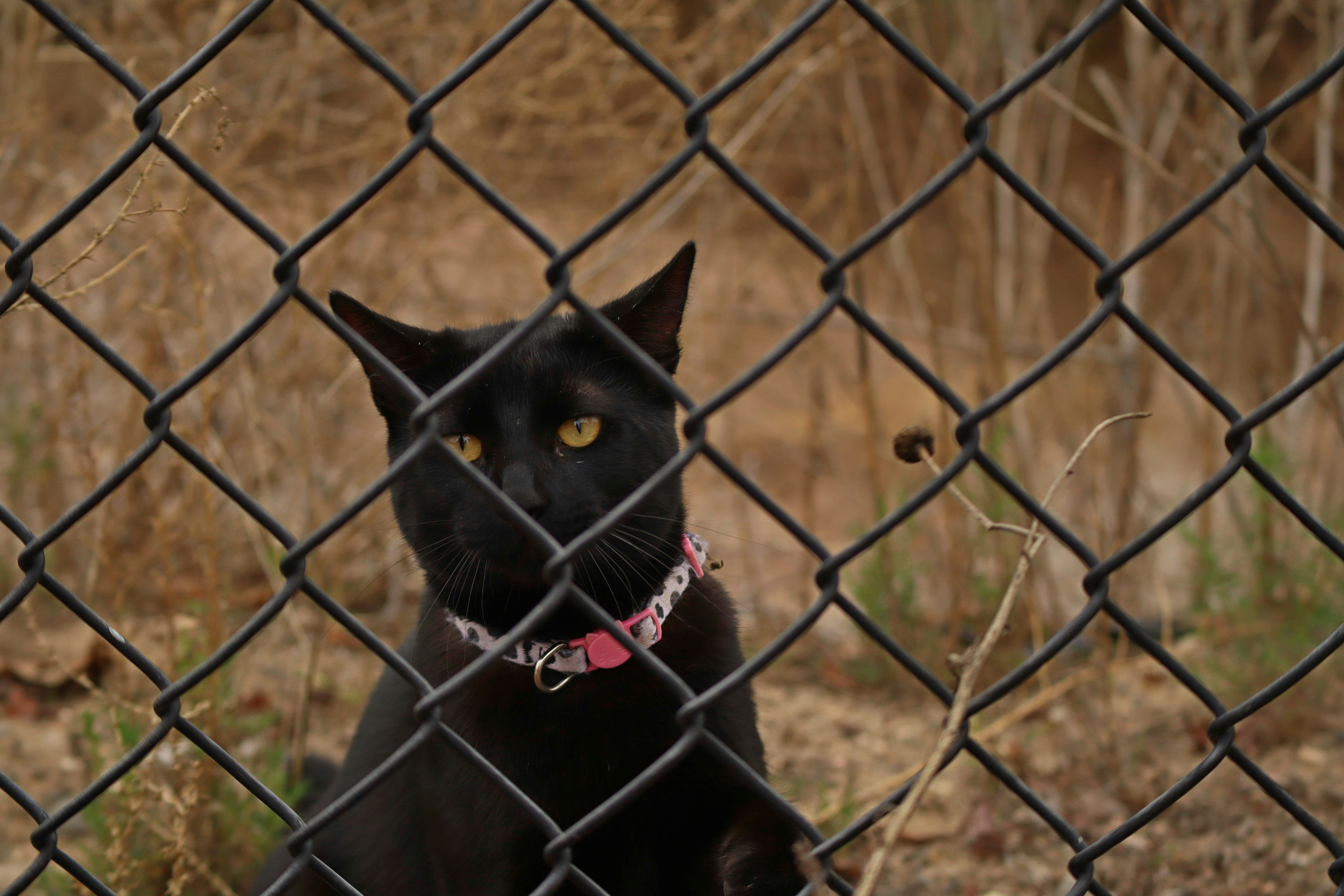 Adrian Herrera (@adrianbh) | Unsplash Photo Community