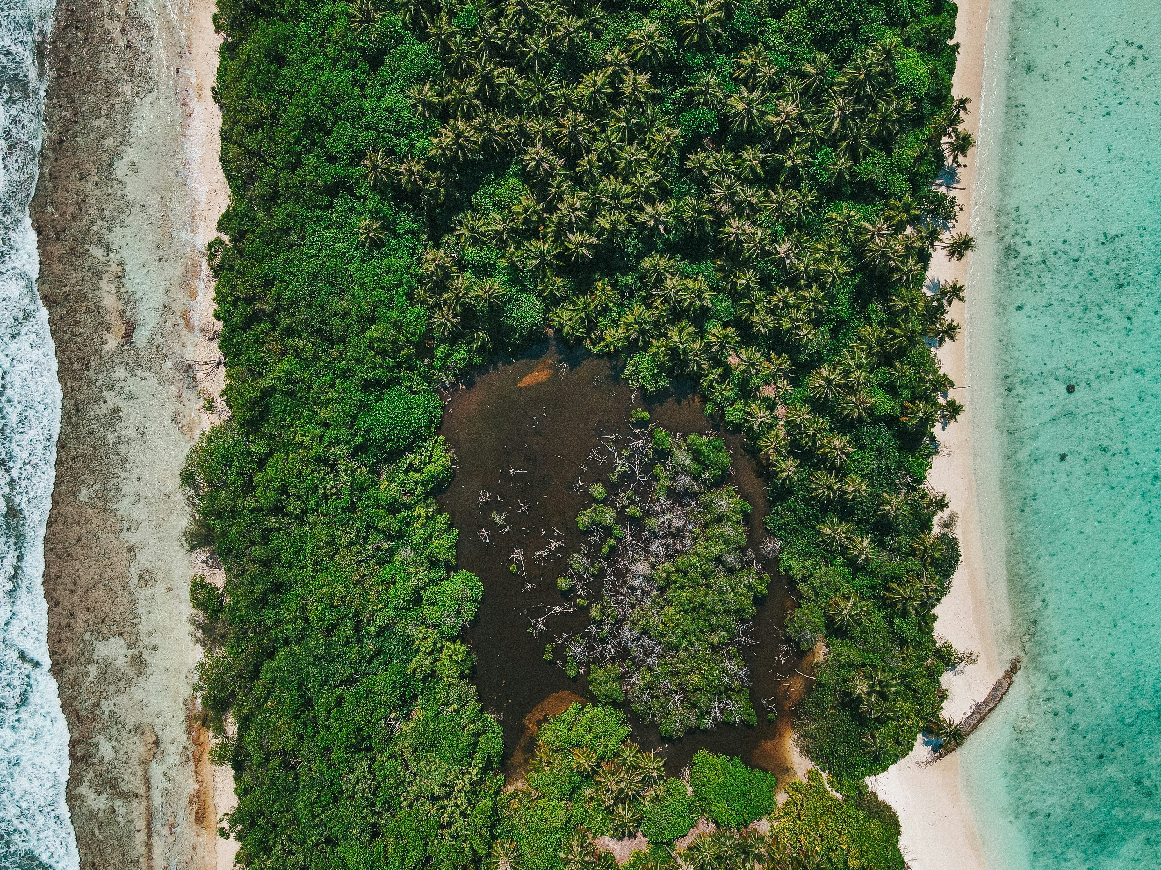 Aerial view of a lush tropical landscape featuring a circular lagoon surrounded by dense palm trees and sandy shores. The vibrant colors of the water contrast beautifully with the greenery.