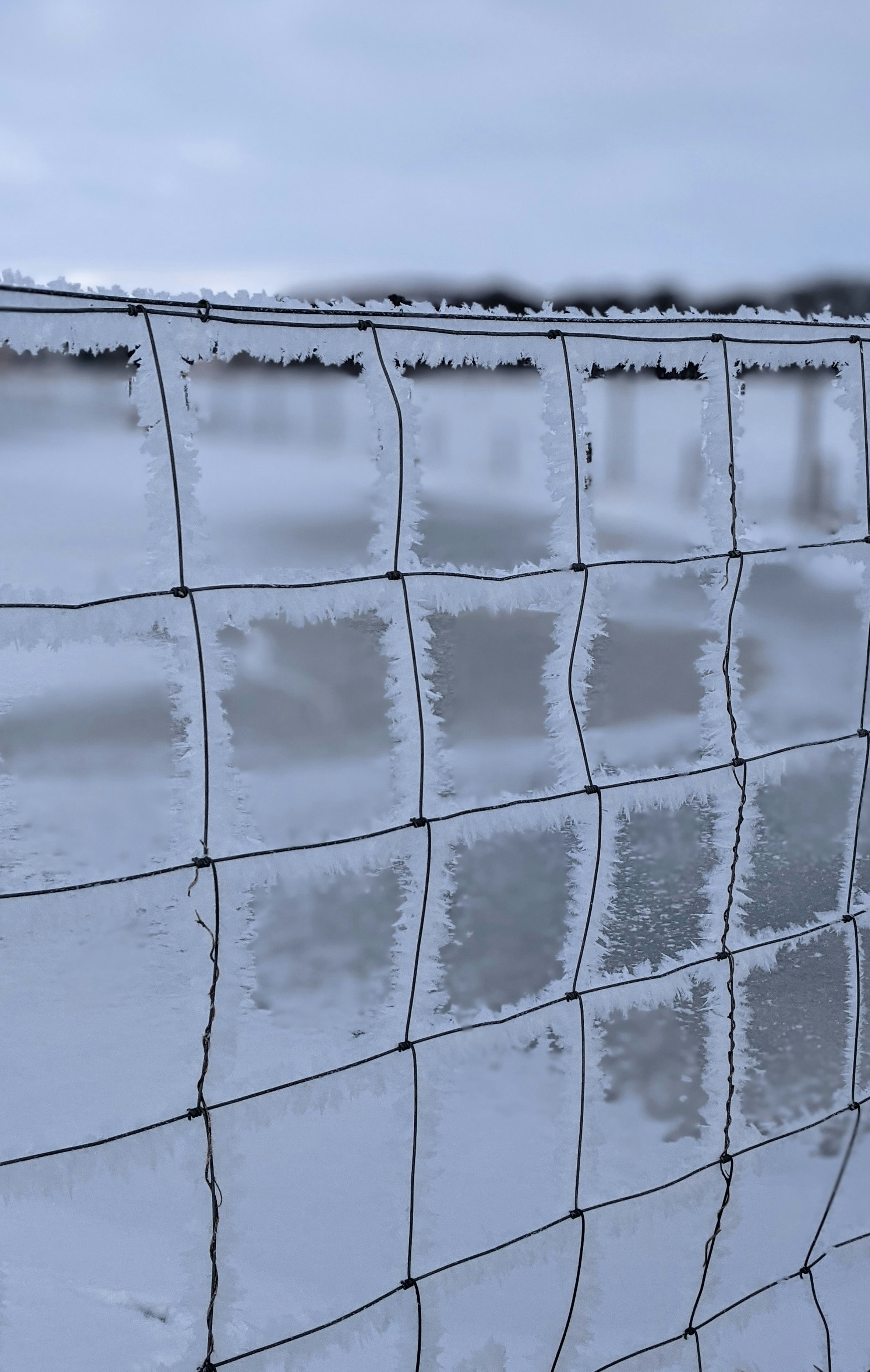 Ice-Grid Horizon: Frost-Silhouetted Fence Against a Snowed Lake