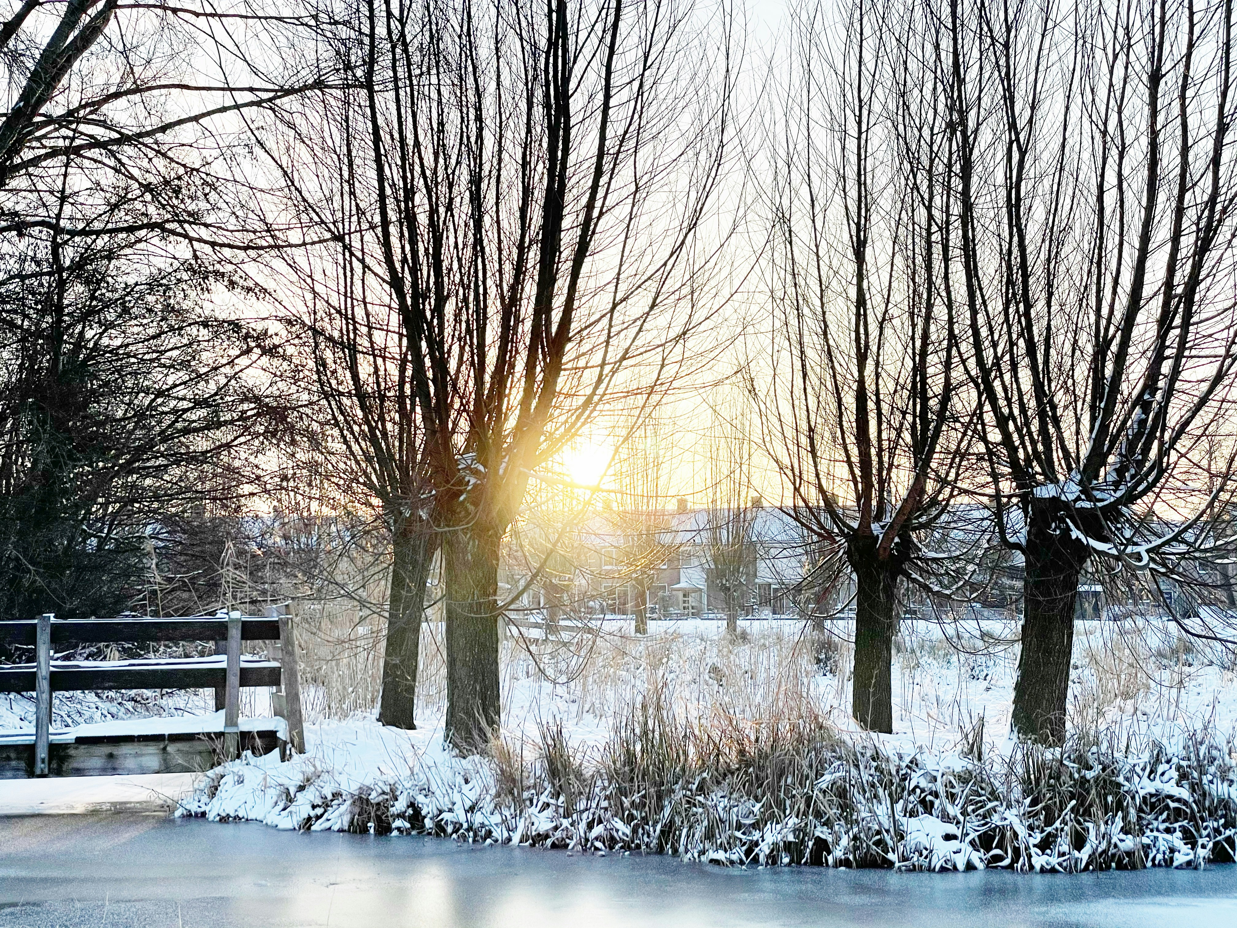 Whispers of Winter's Glow