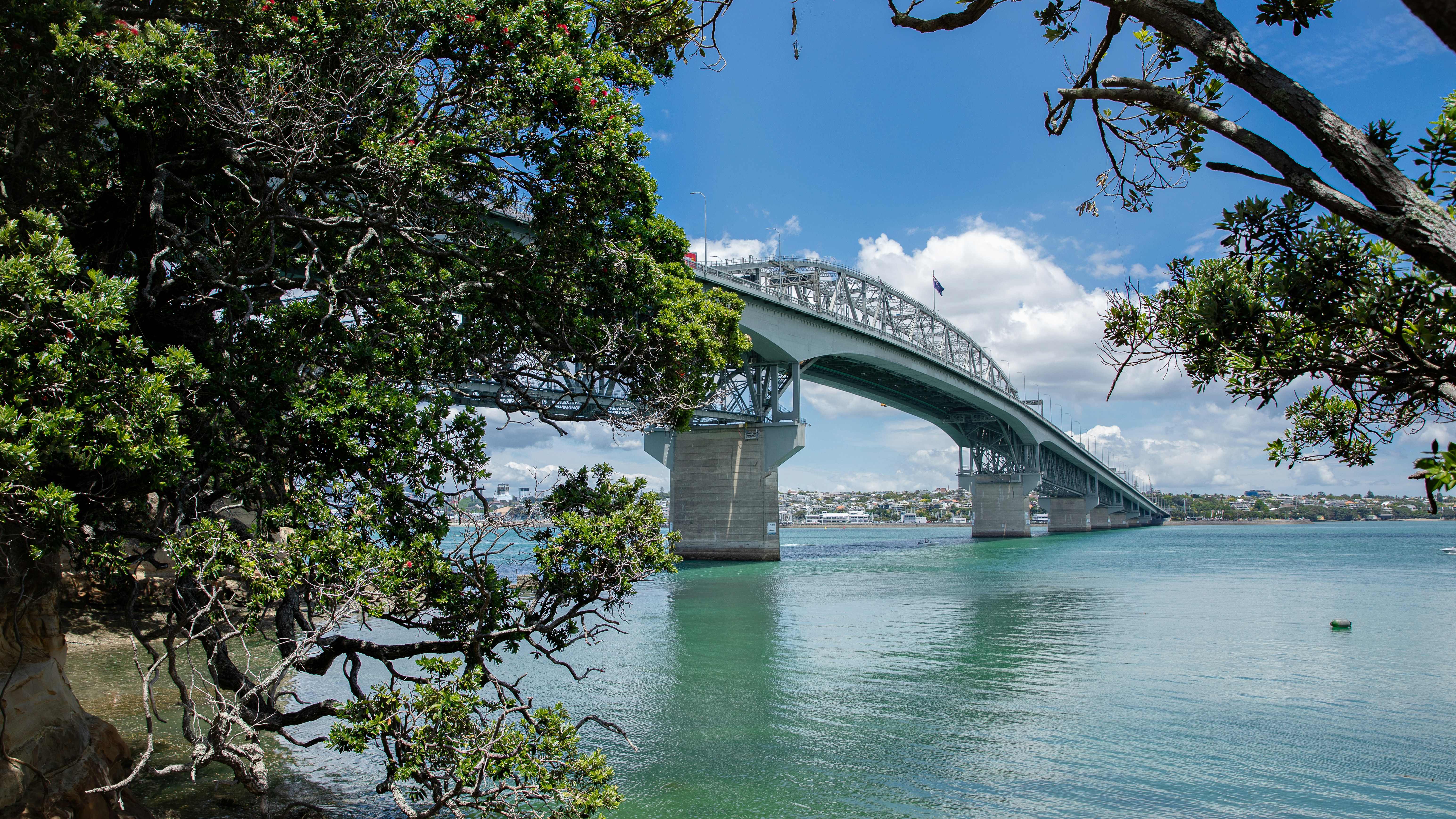 A majestic bridge spans a serene bay, framed by lush greenery and a clear sky, showcasing the harmony between infrastructure and nature.
