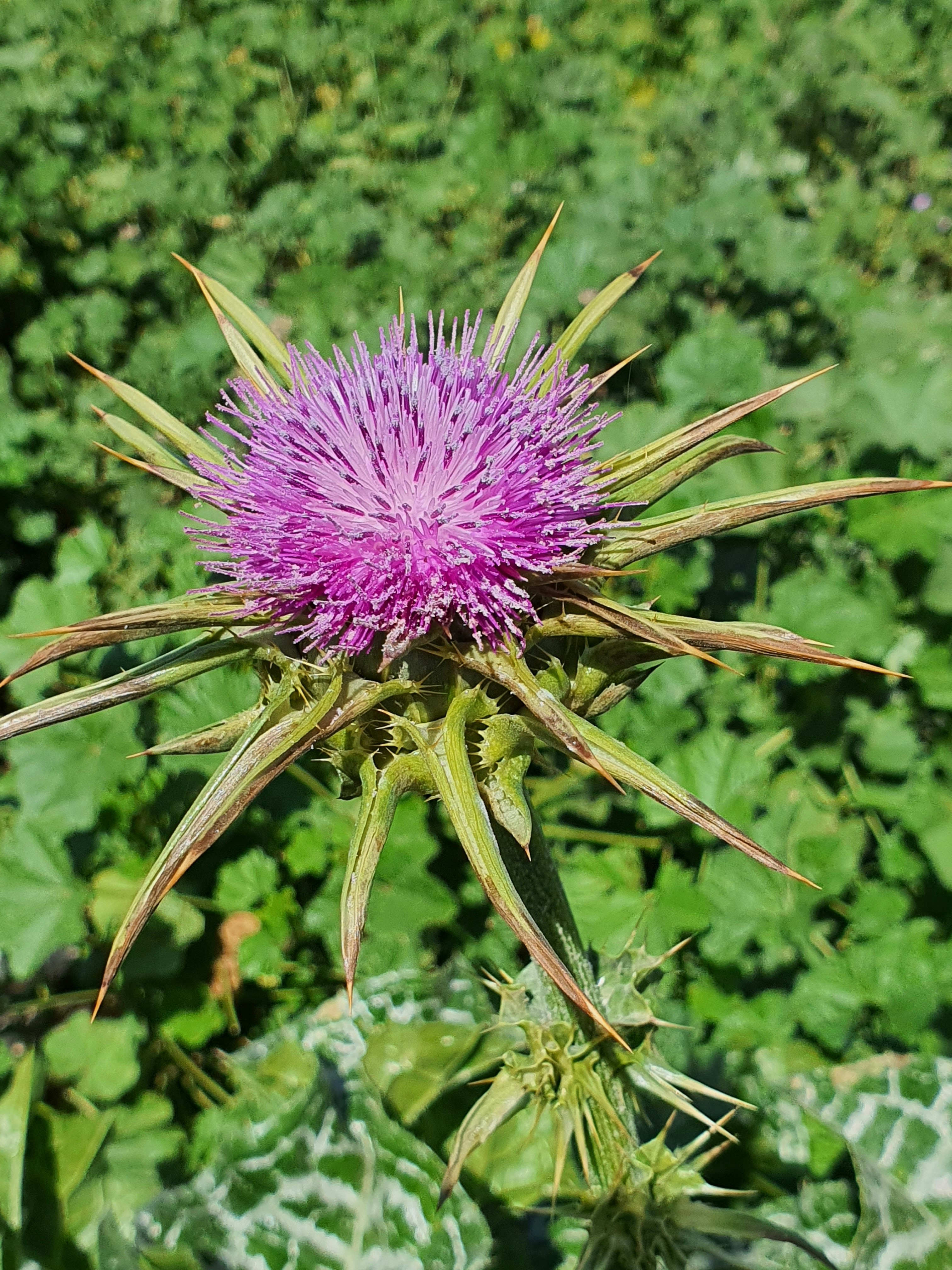 Eli Bensimon (@bents) | Unsplashフォトコミュニティ