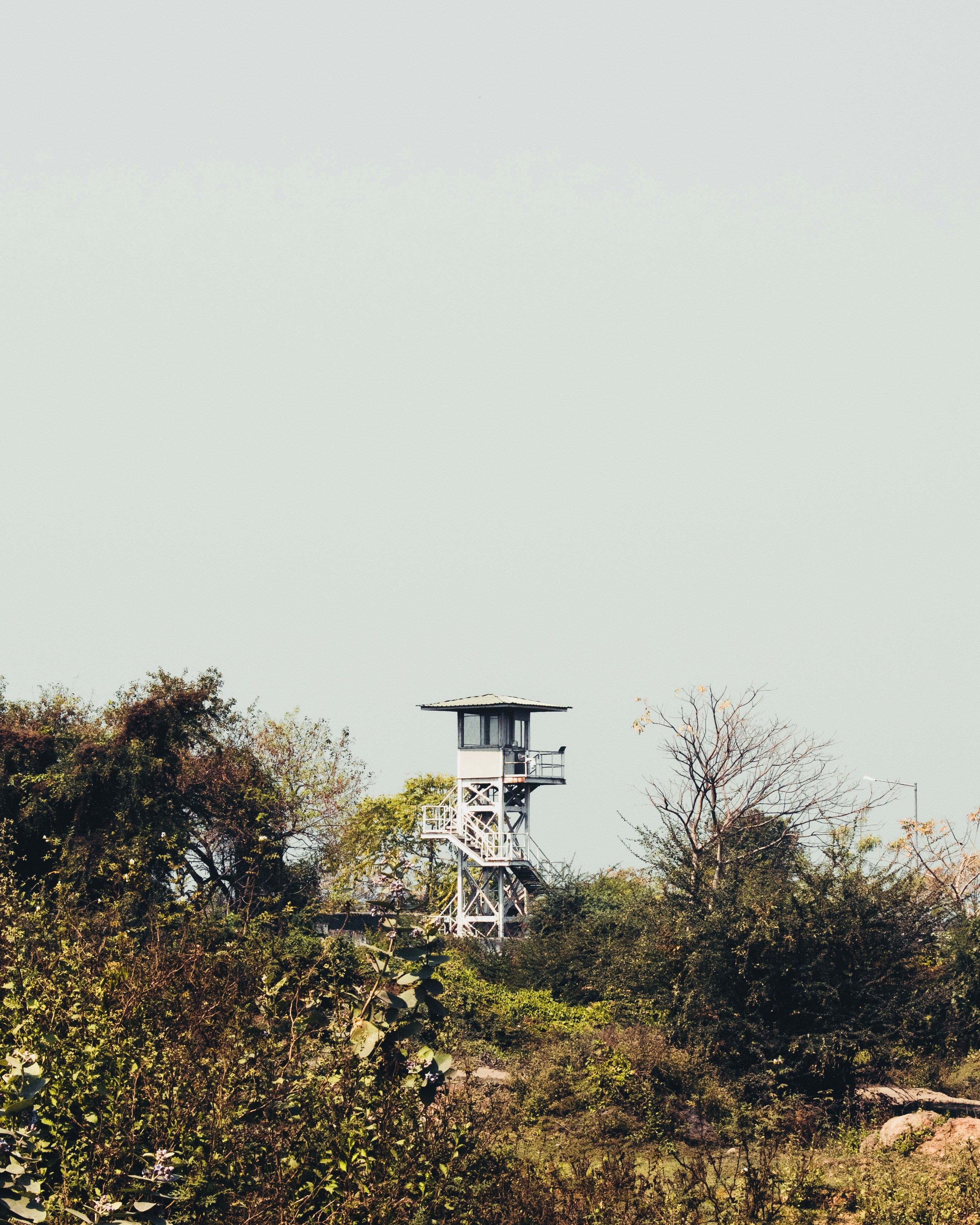 A watchtower stands tall among lush greenery, offering a glimpse into the surrounding landscape.
