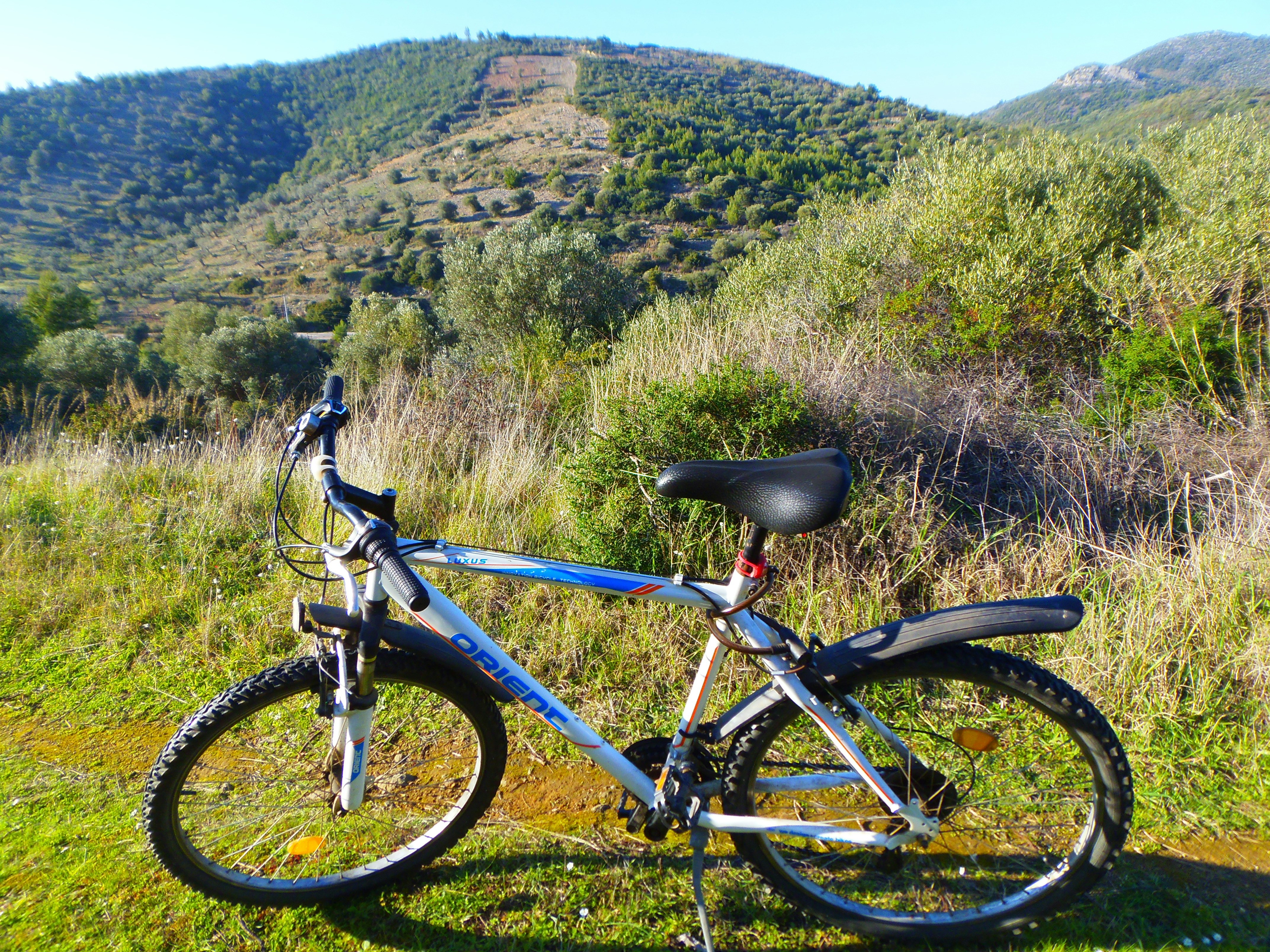 Mountain bike resting on a vibrant green landscape with rolling hills in the background. The scene captures the essence of outdoor adventure.