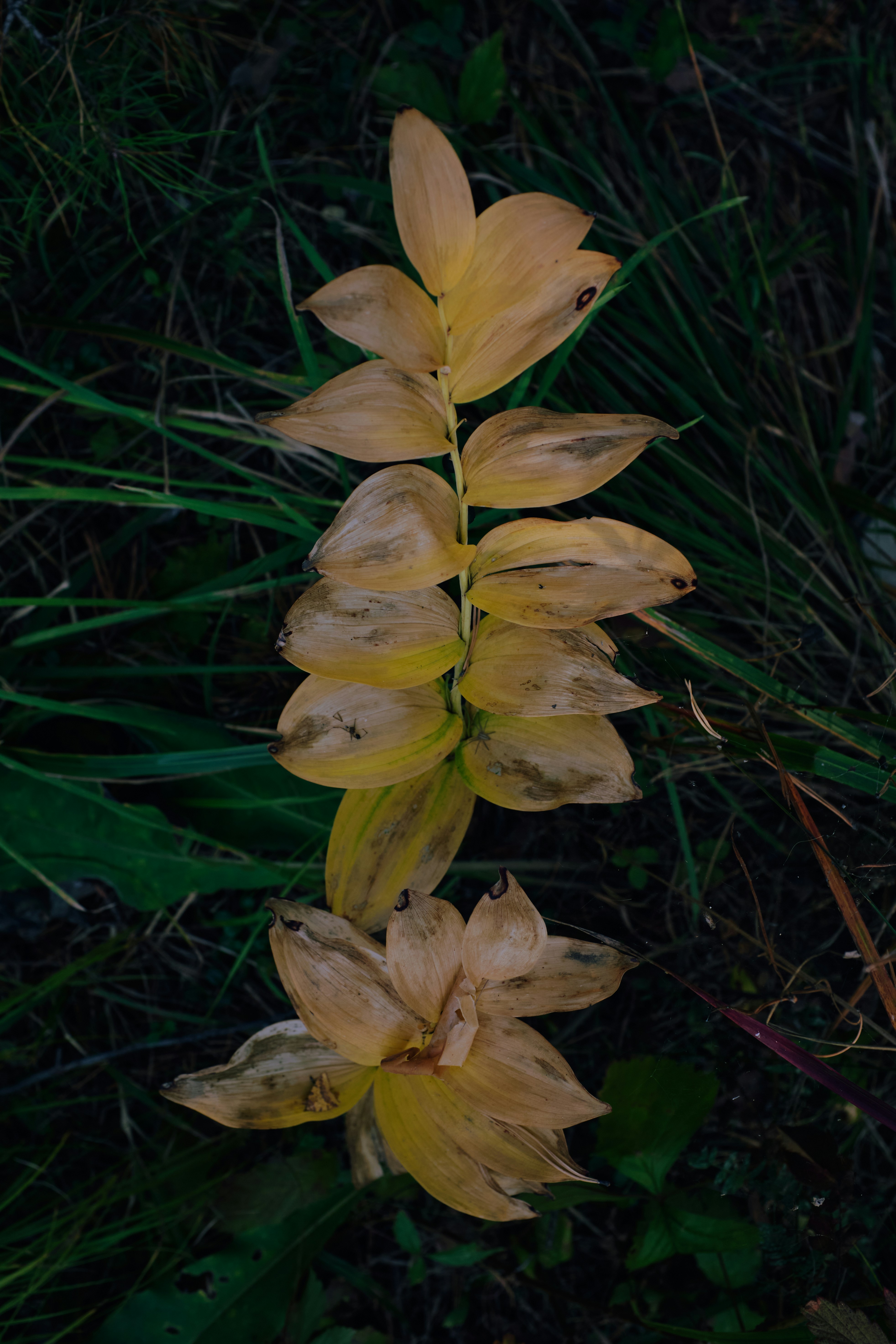 Walpepar Pictures | Download Free Images on Unsplash