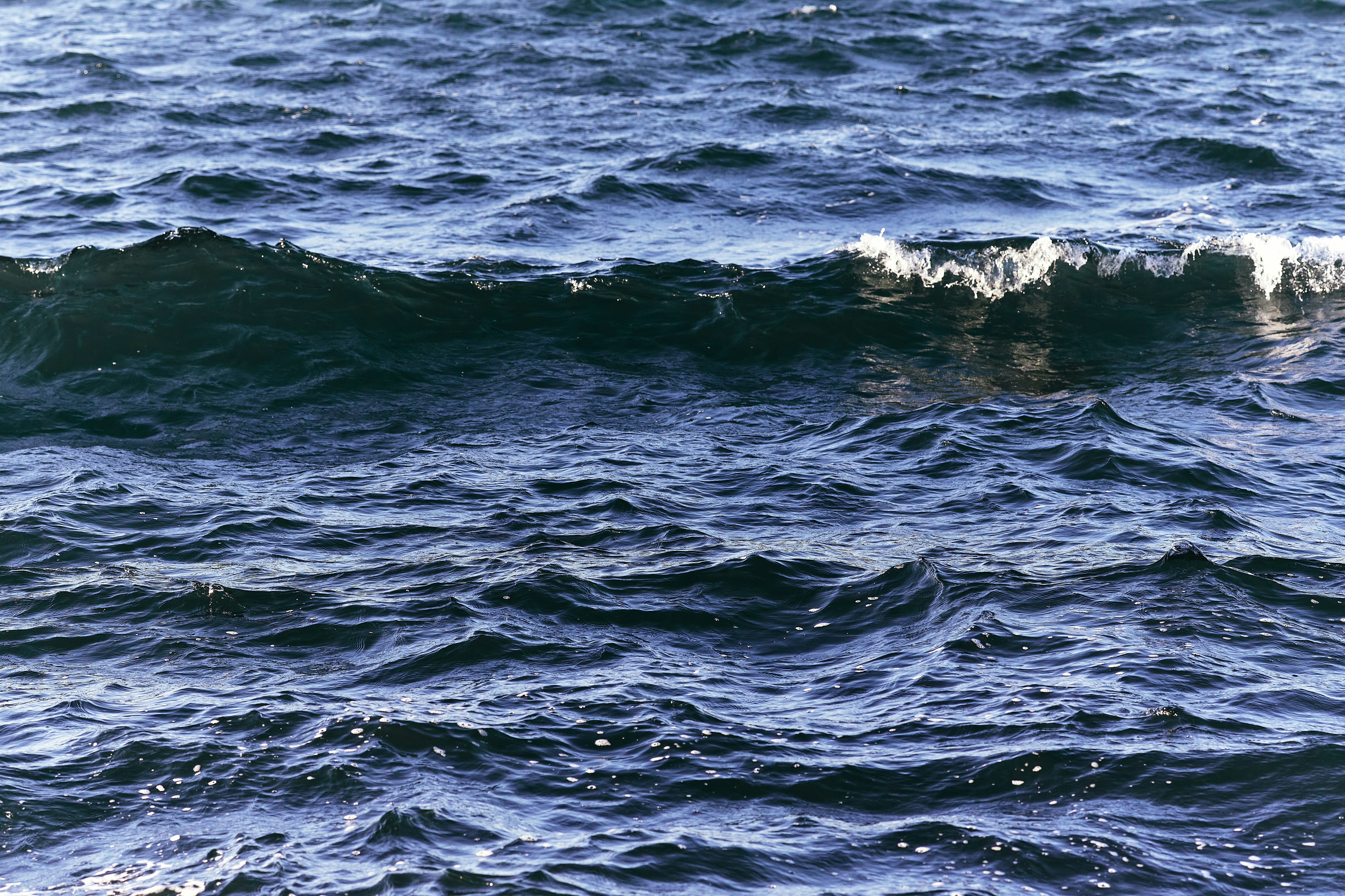 Gentle waves rolling across the surface of the ocean, reflecting light and creating a tranquil scene.