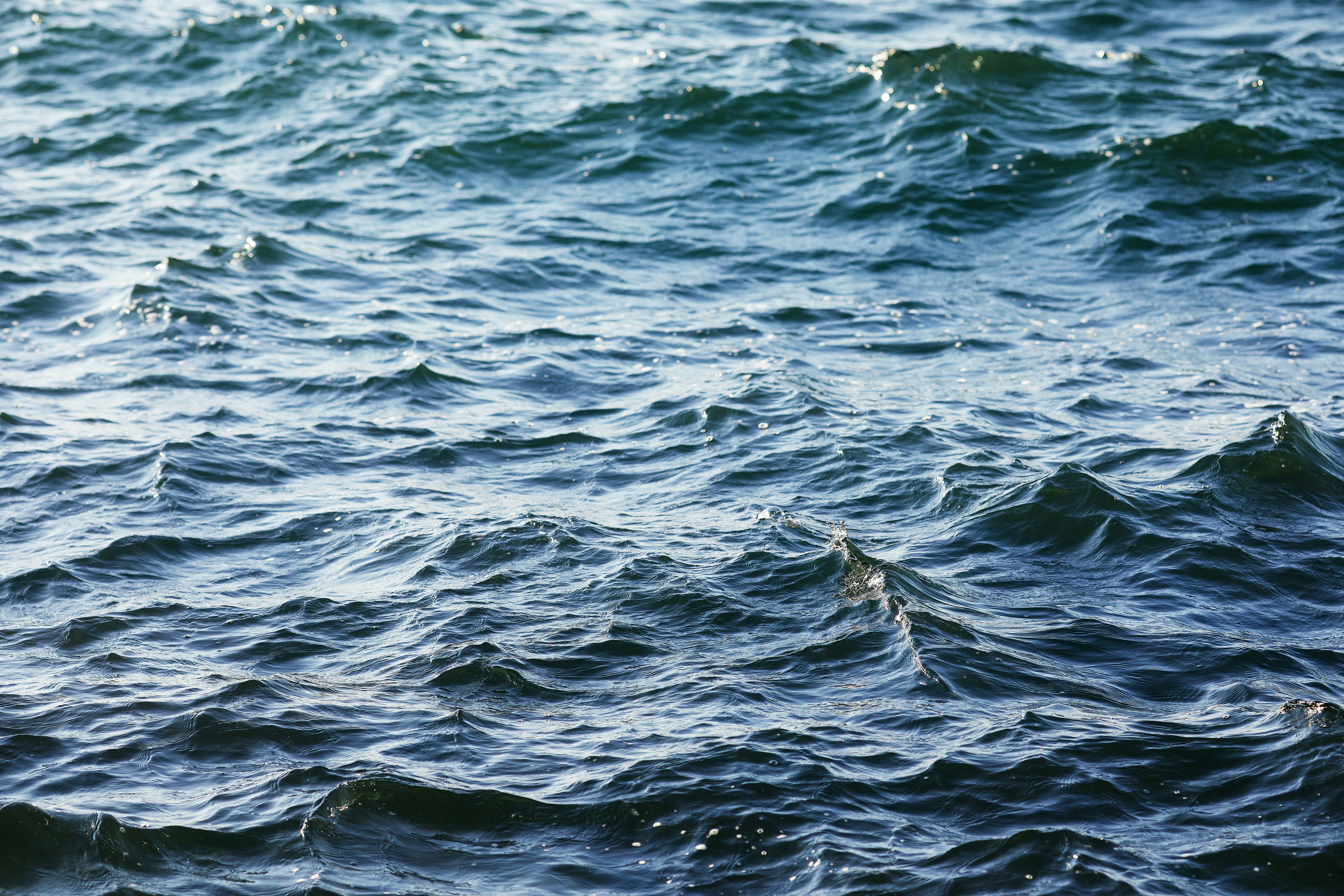 Gentle waves undulating across a serene body of water, reflecting light in intricate patterns.