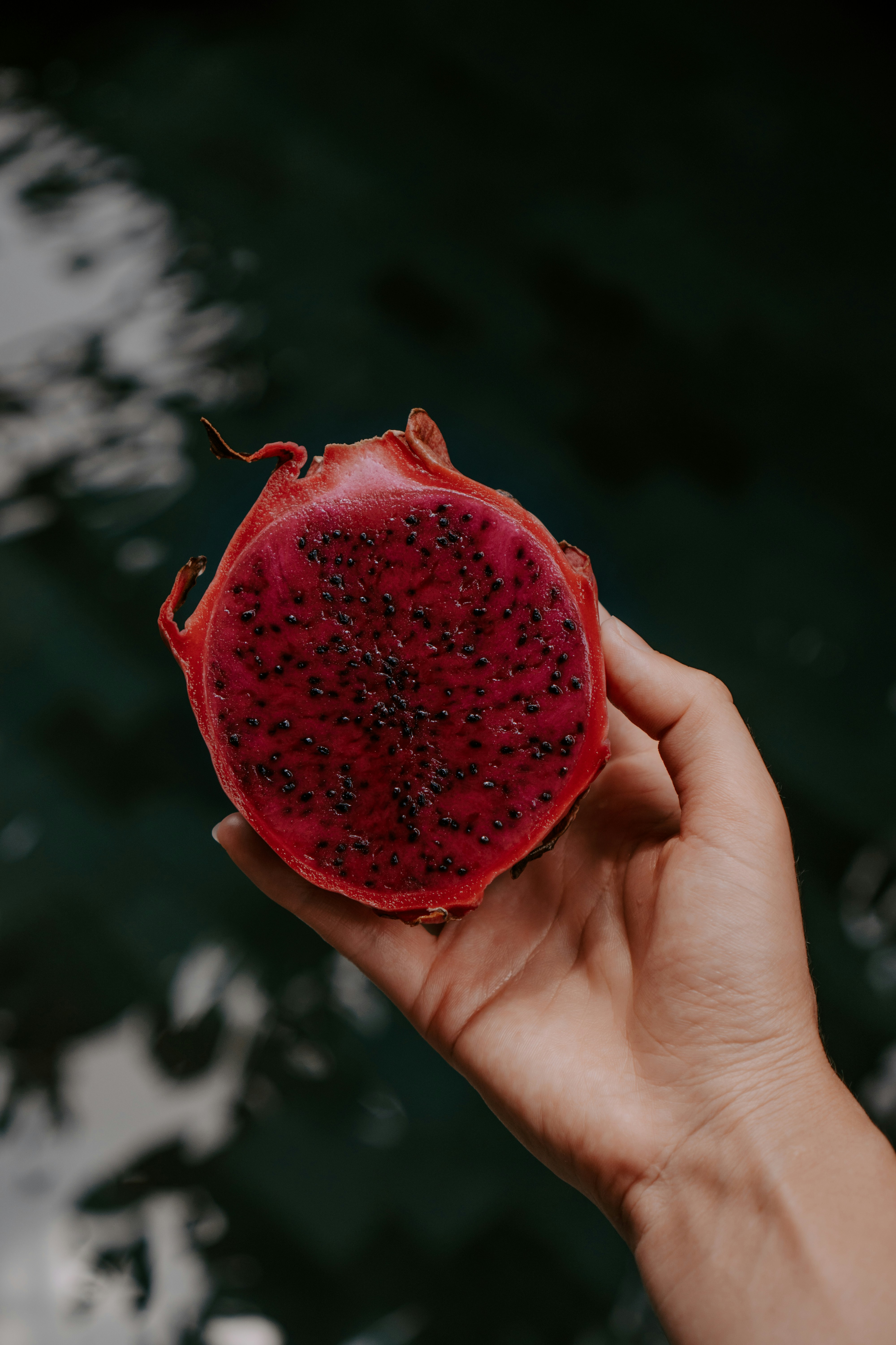 500+ Dragon Fruit Pictures | Download Free Images on Unsplash