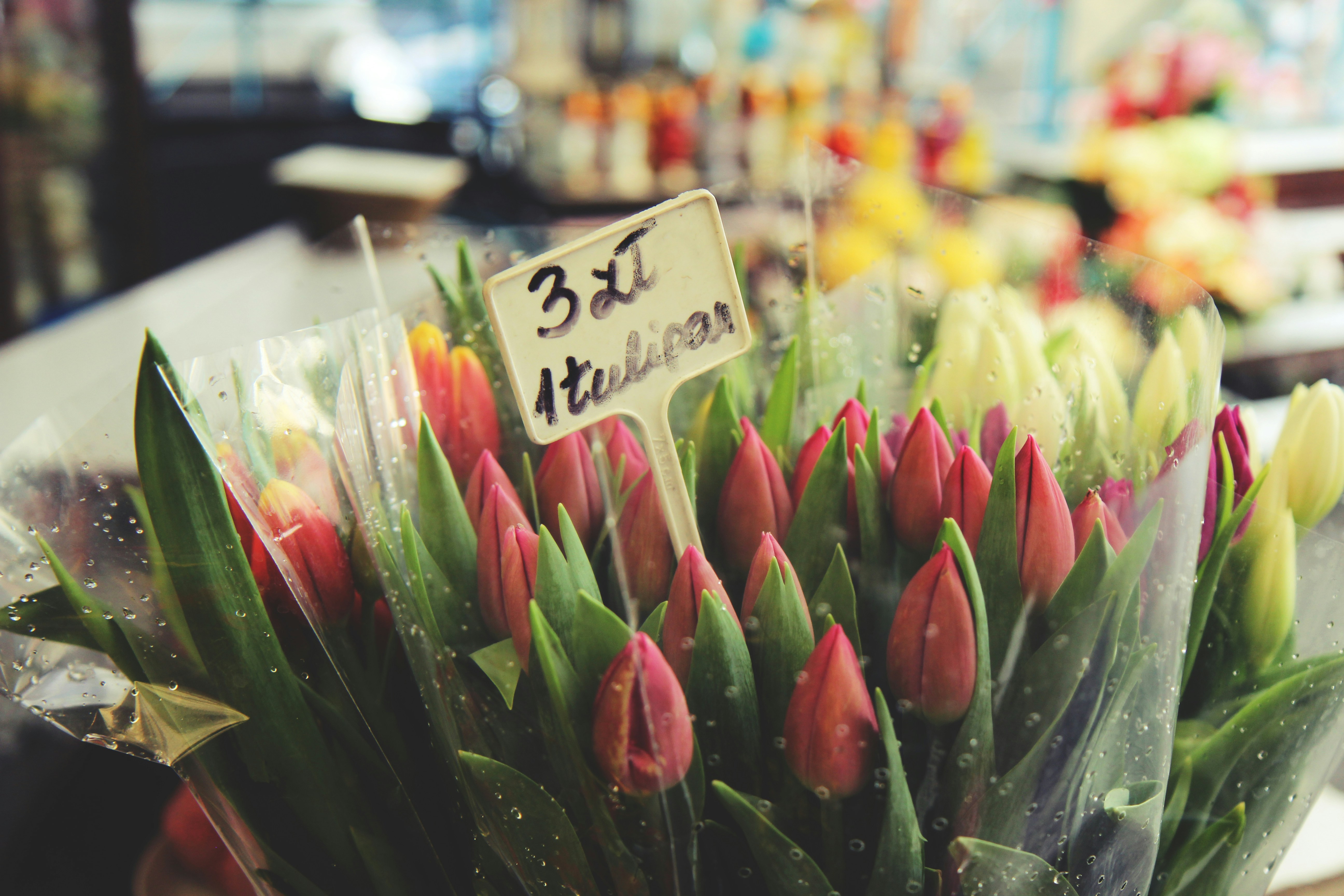 Dew-Kissed Tulips Behind Plastic Wrap in a Market Display