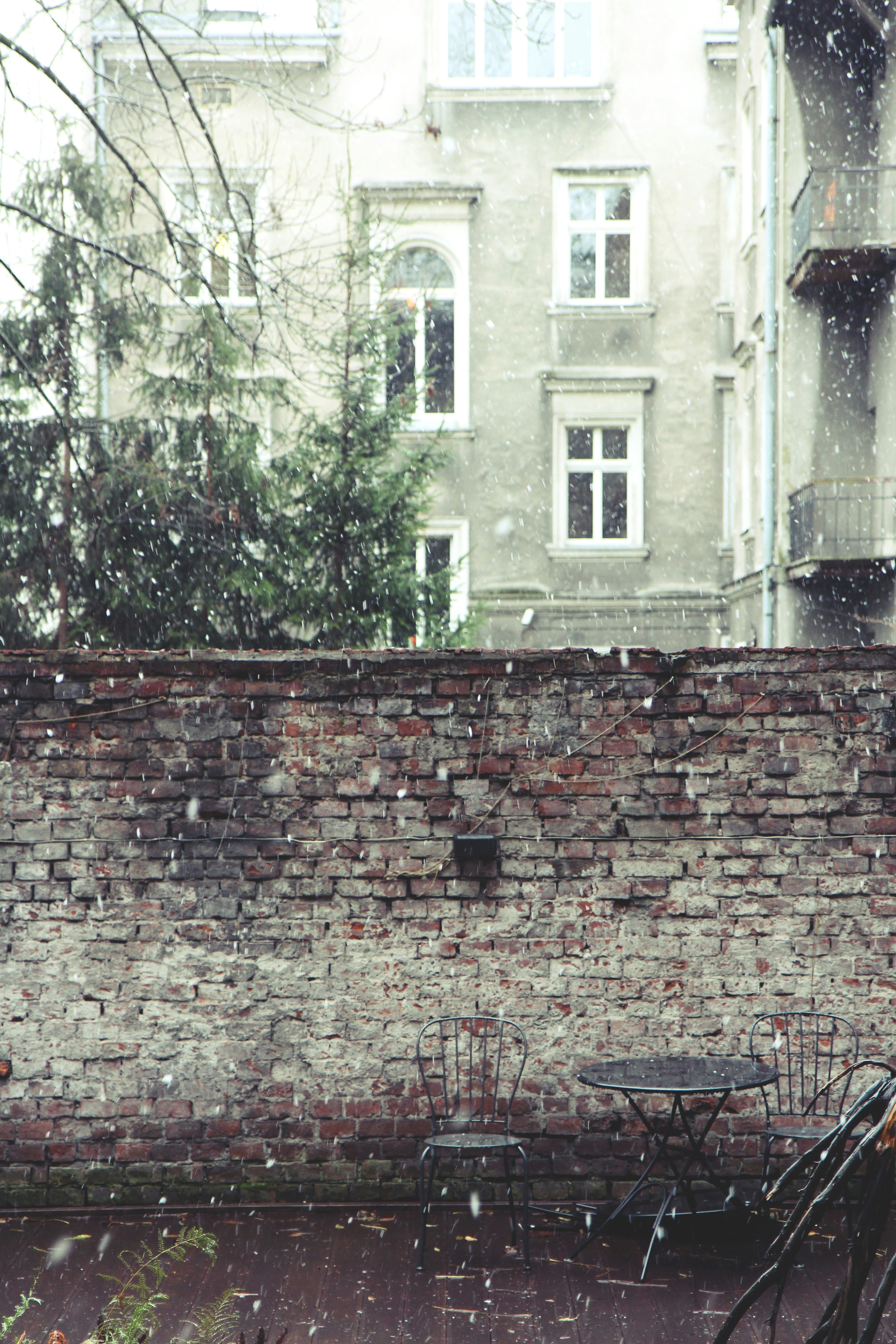 Snow in the Courtyard: A Quiet Urban Moment Behind a Brick Wall