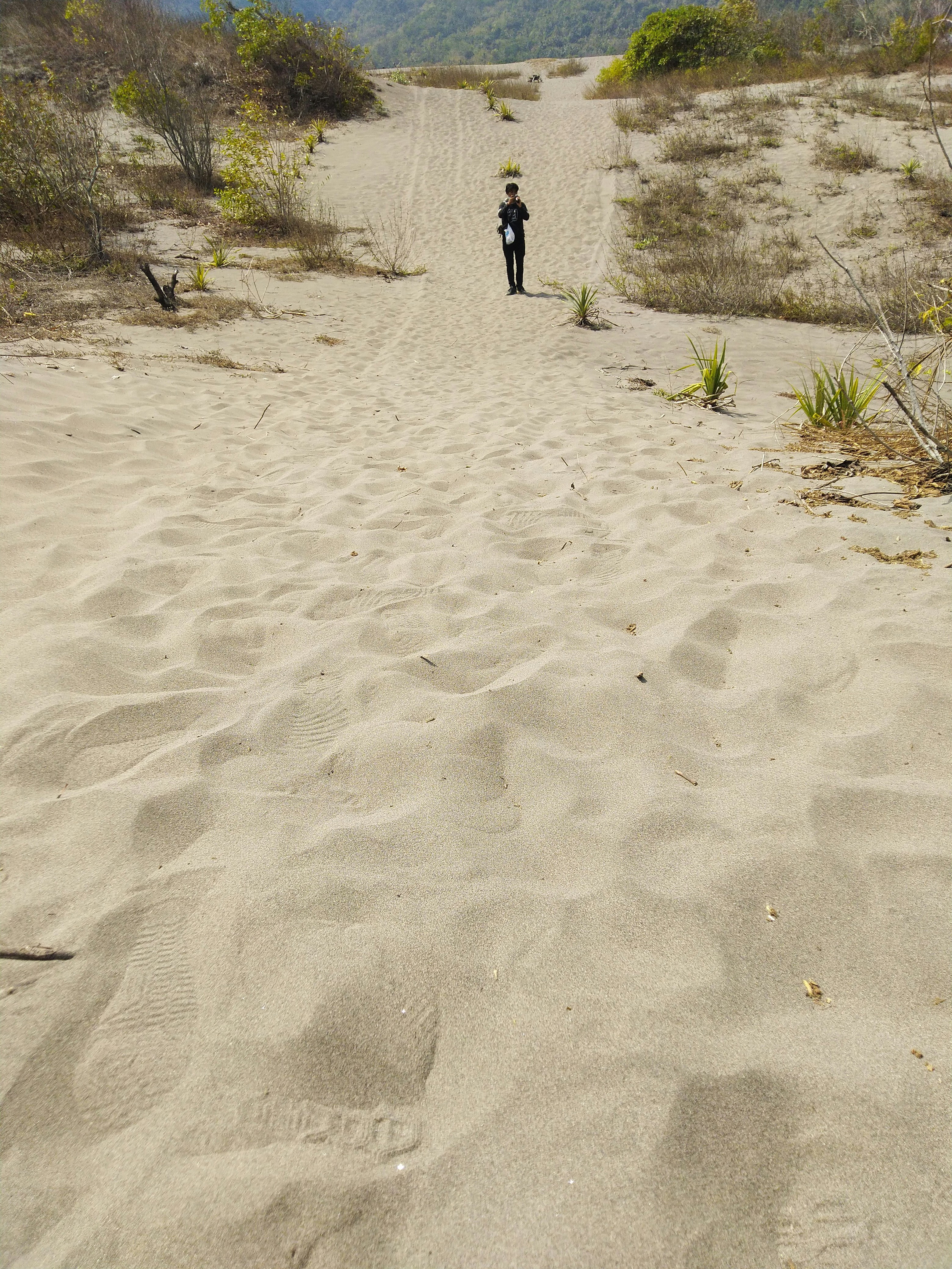 A lone figure traverses a sandy landscape, surrounded by sparse vegetation and distant hills. The footprints in the sand hint at a recent passage.
