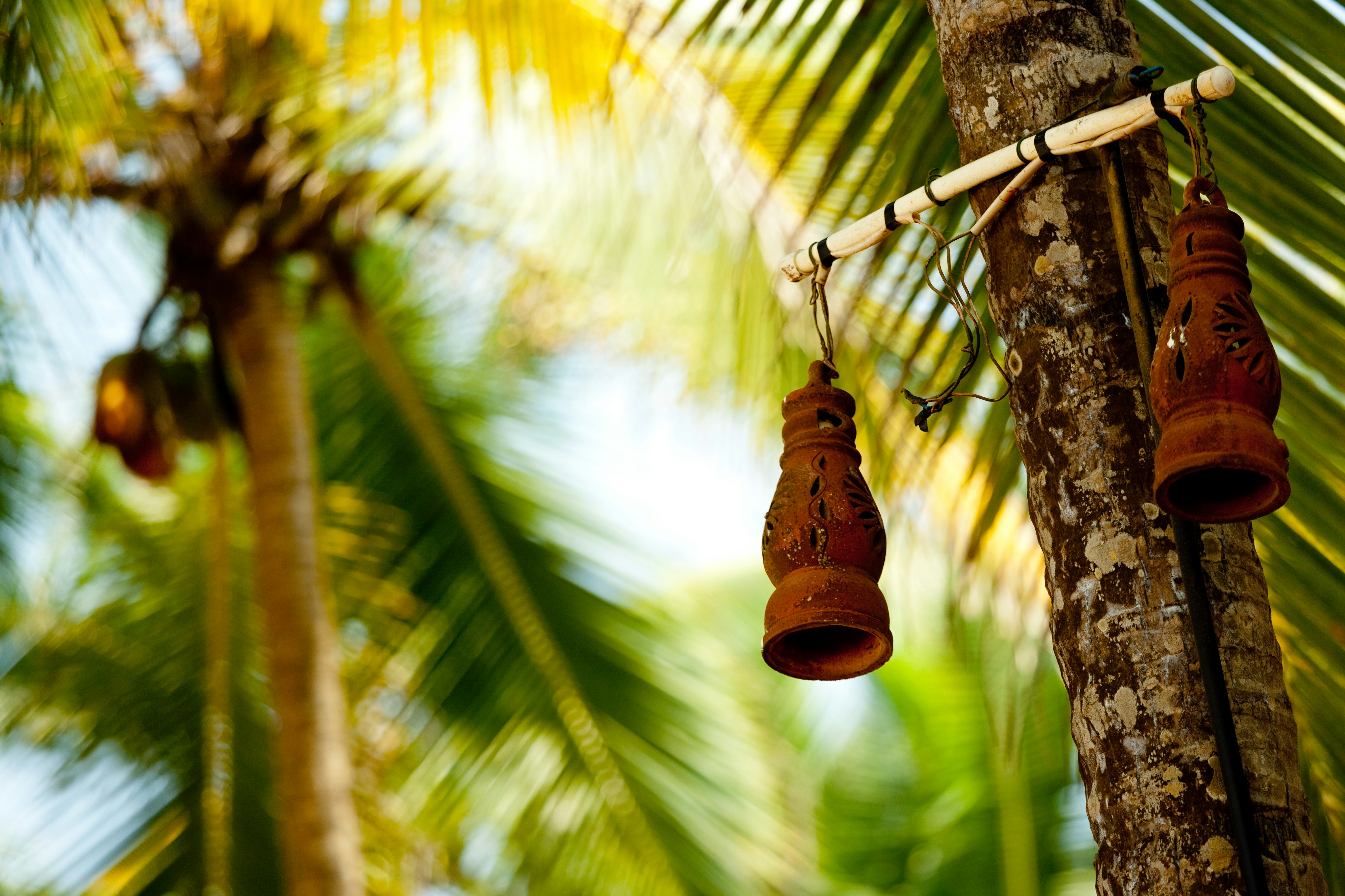 Hanging Bell Orchards: Two clay bells on a palm trunk