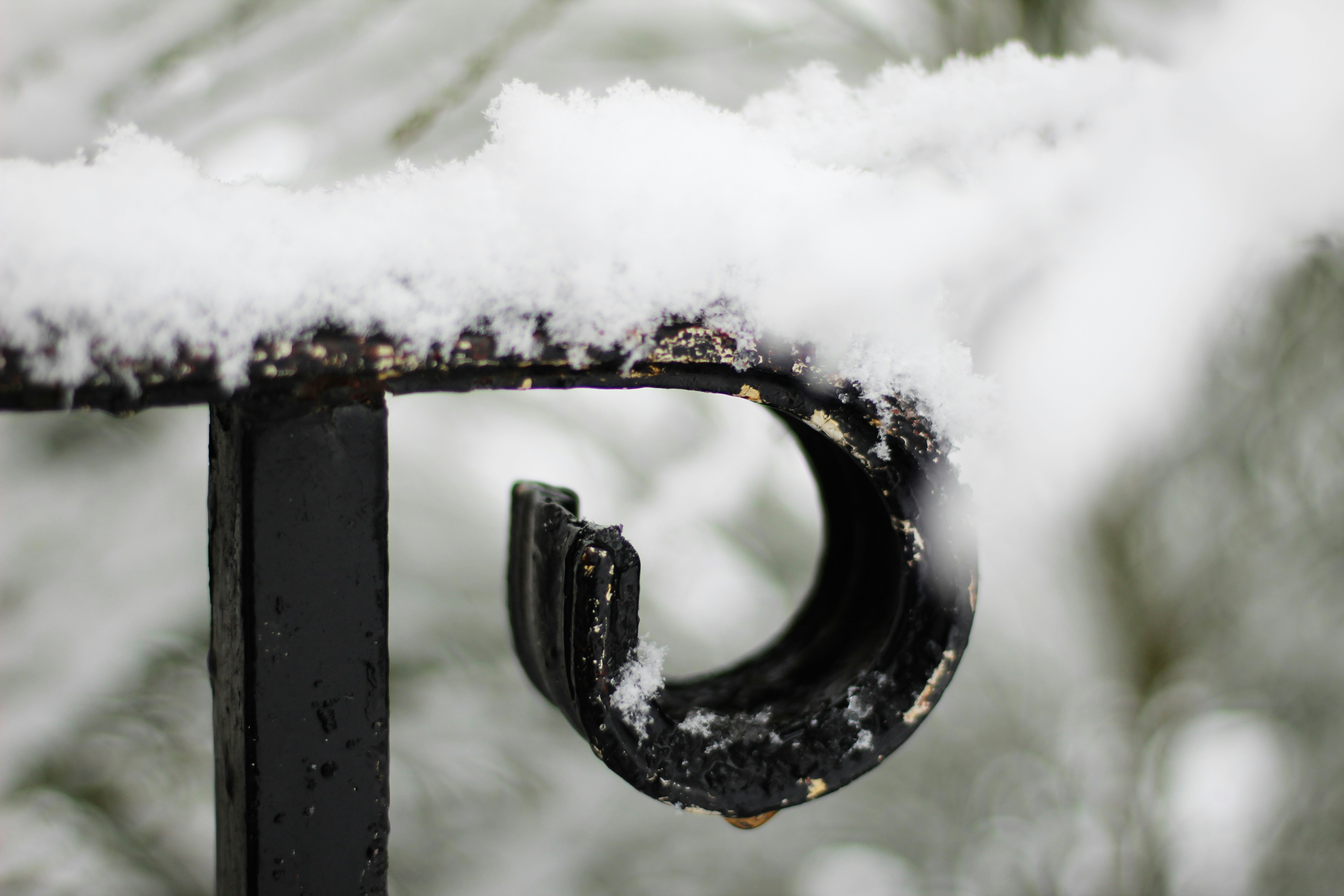 Close-up of a wrought iron railing adorned with a layer of fresh snow, set against a blurred winter backdrop.