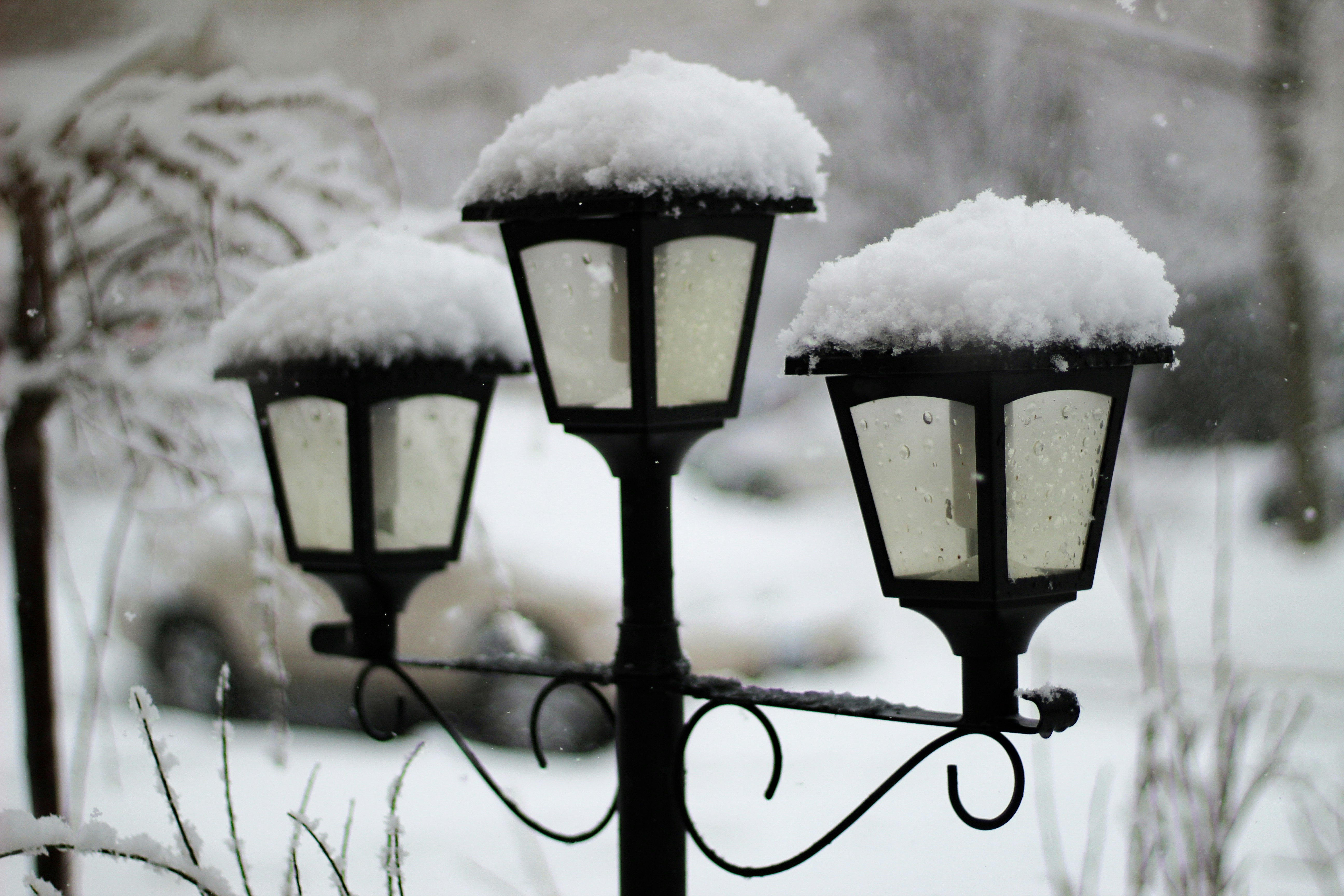 Black metal lamp post covered with snow photo – Free Lamp post Image on ...