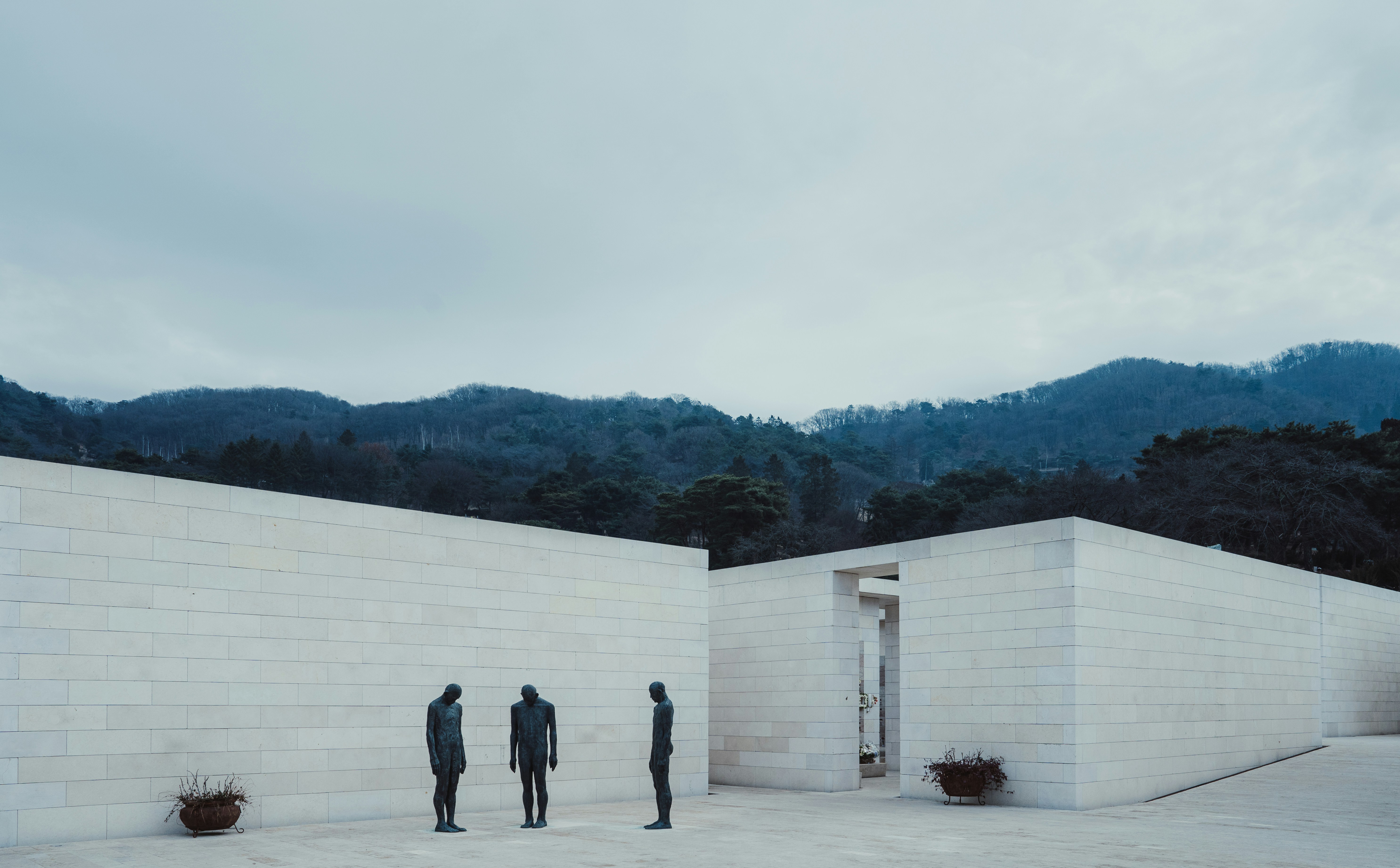 In Loving Memory Pictures | Download Free Images on Unsplash