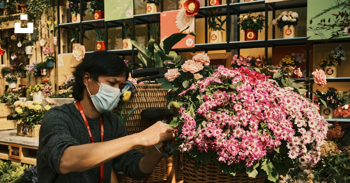 茶色の木製の椅子に座る青と赤のクルーネックtシャツを着た男性の写真 Unsplashの花の無料画像