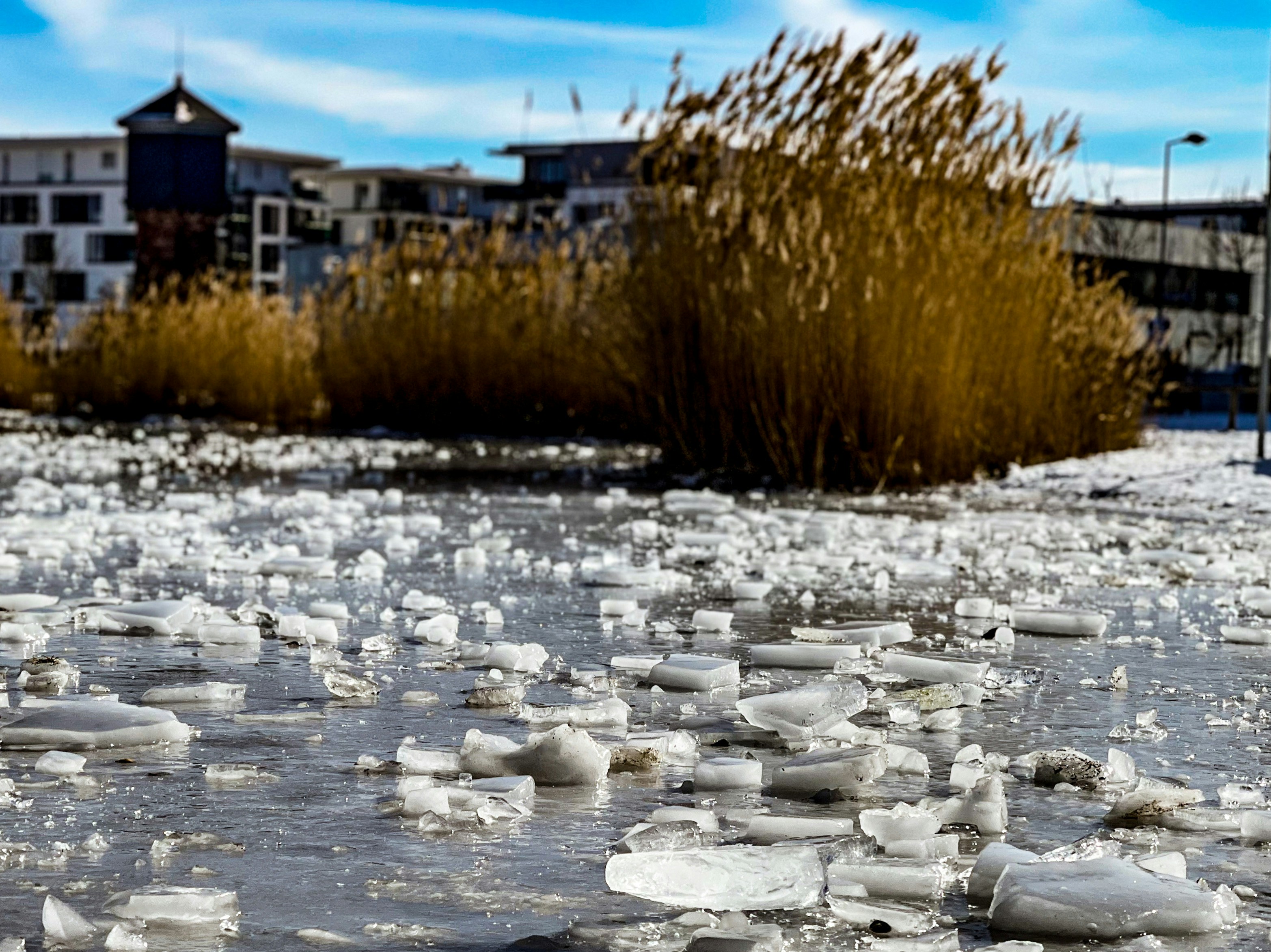 White ice on the ground photo – Free Deutschland Image on Unsplash