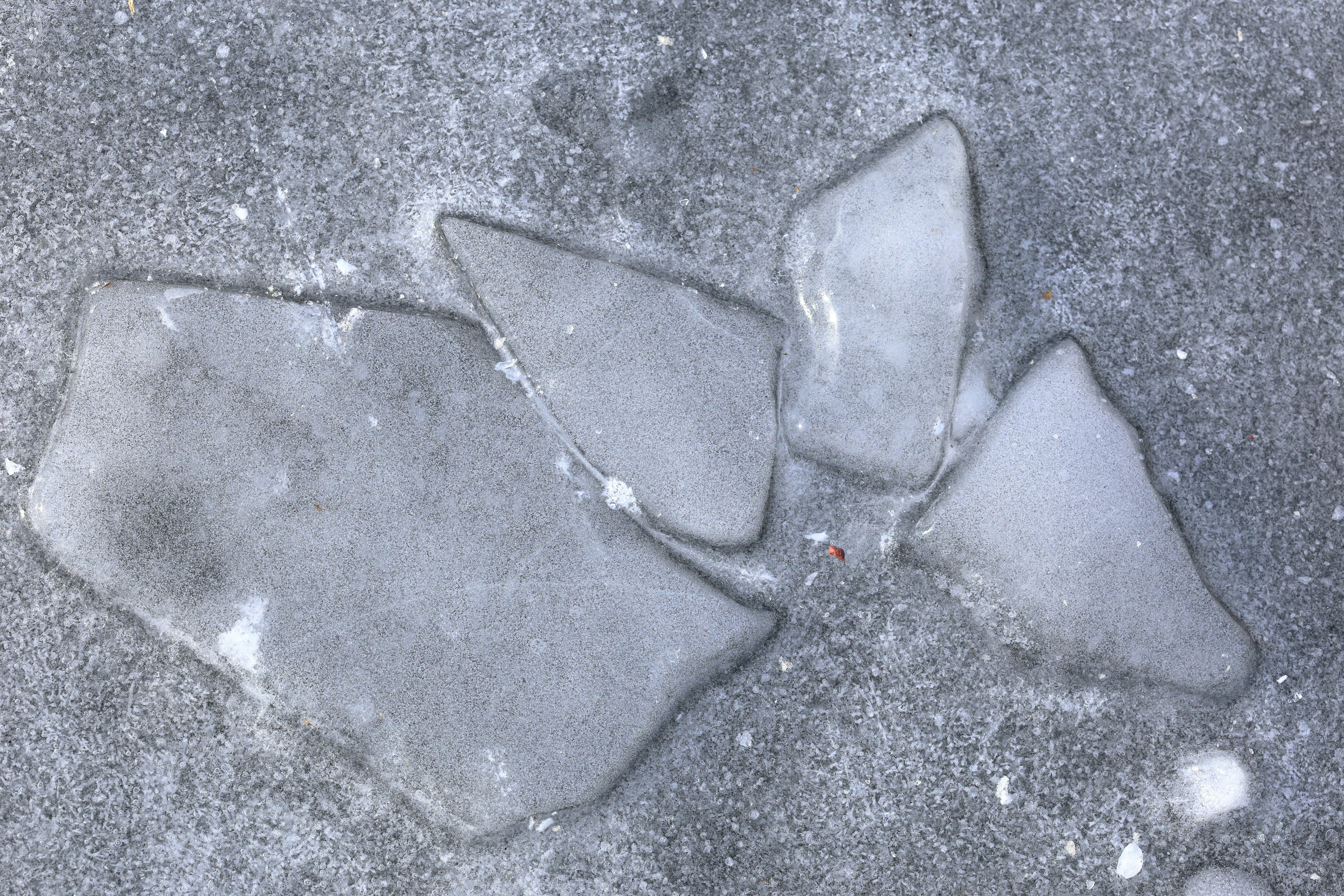 gray and white heart shaped stone
