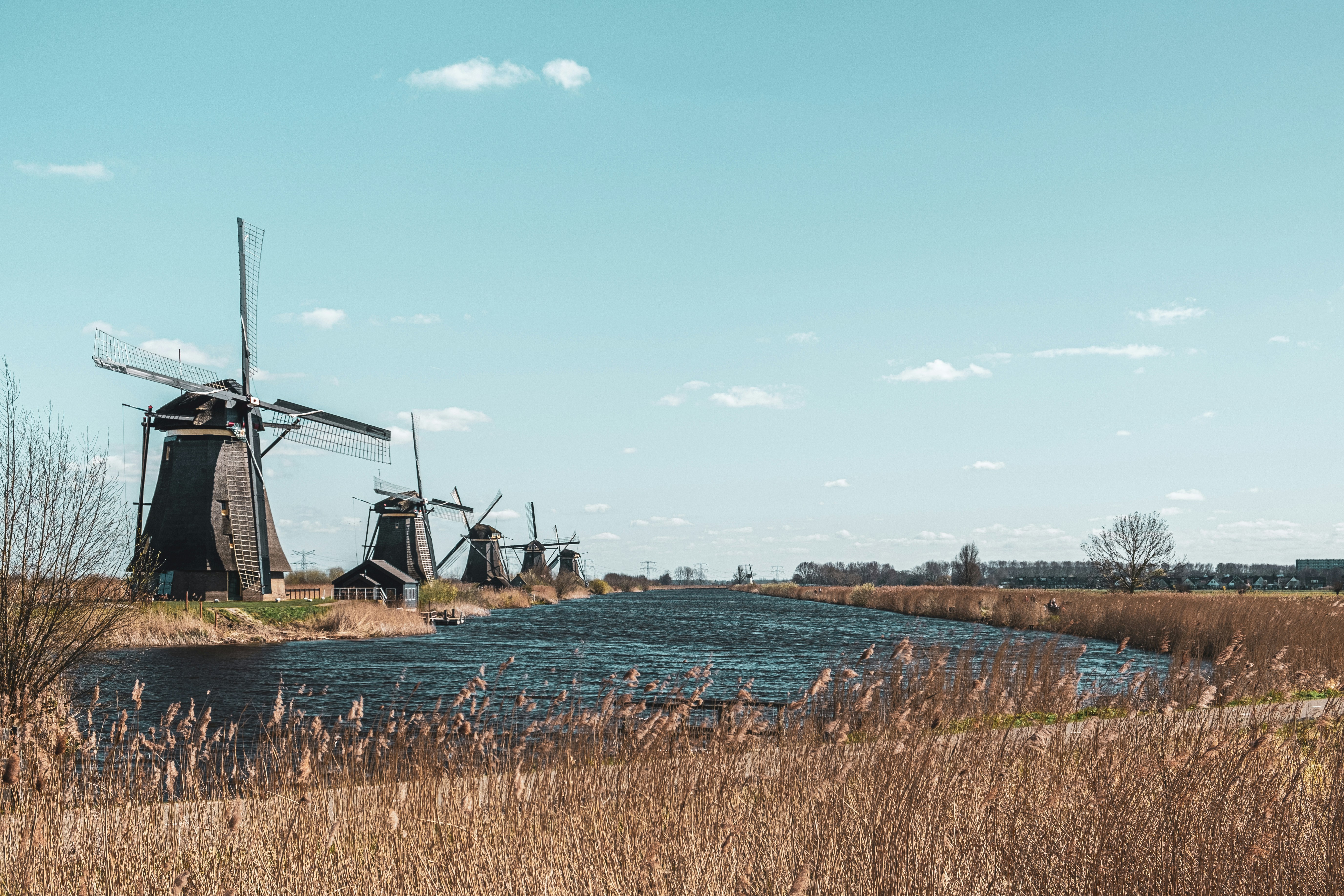 Brown grass field near body of water during daytime photo – Free Kinderdijk Image on Unsplash