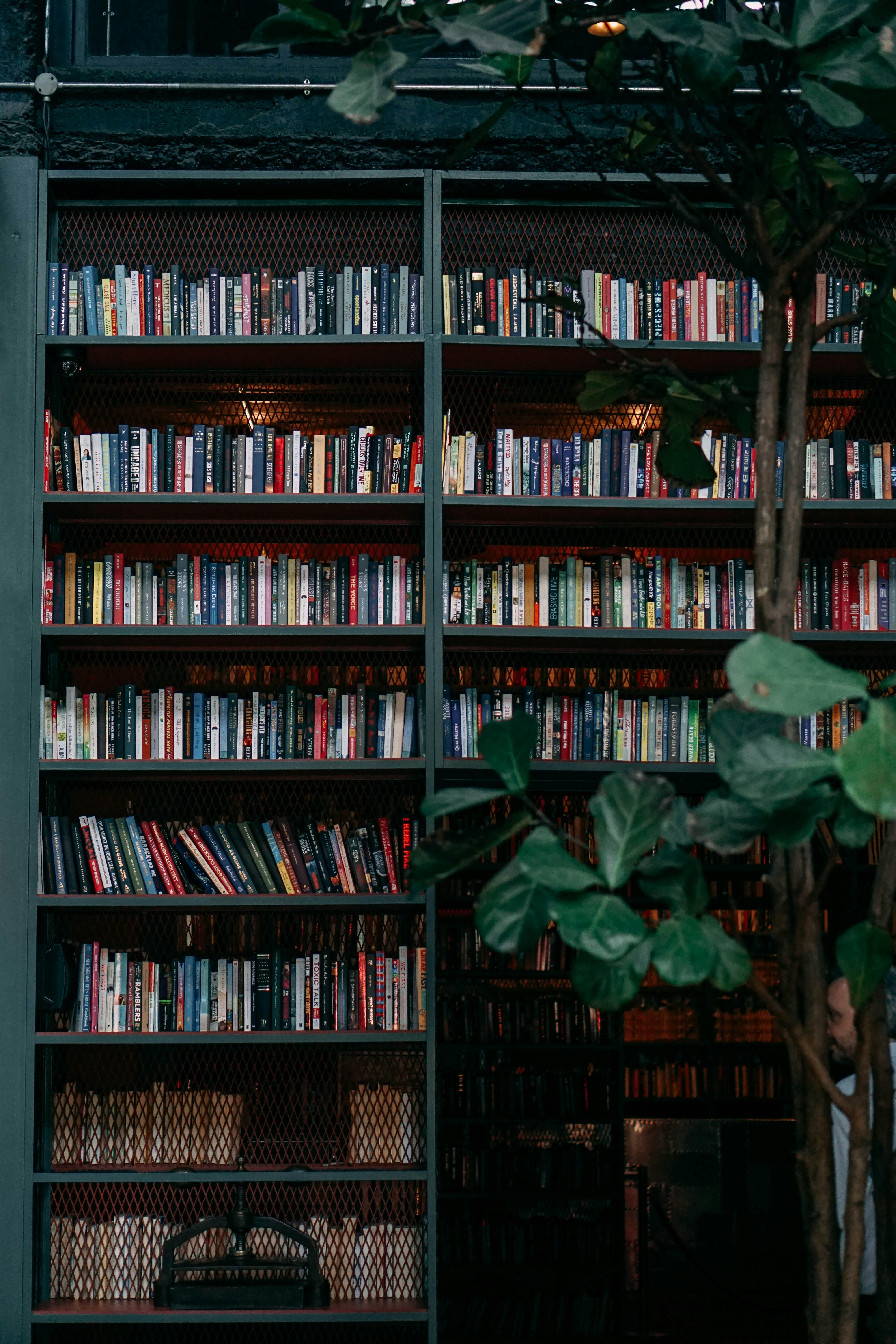 A Literary Haven: Shelves of KnowledgeShushan Meloyan