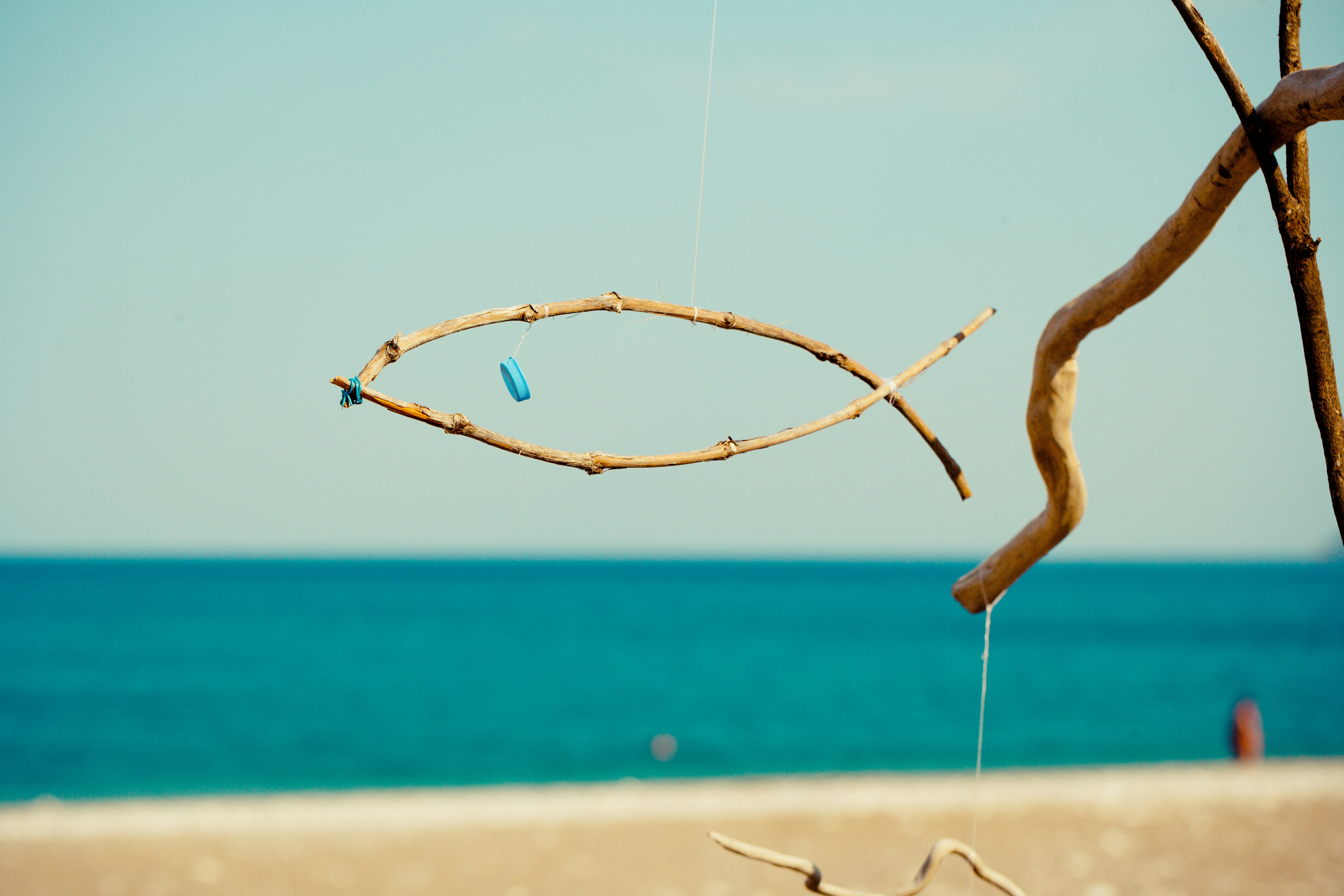 Blue Bead in a Twig Halo Framing the Quiet Beach Horizon