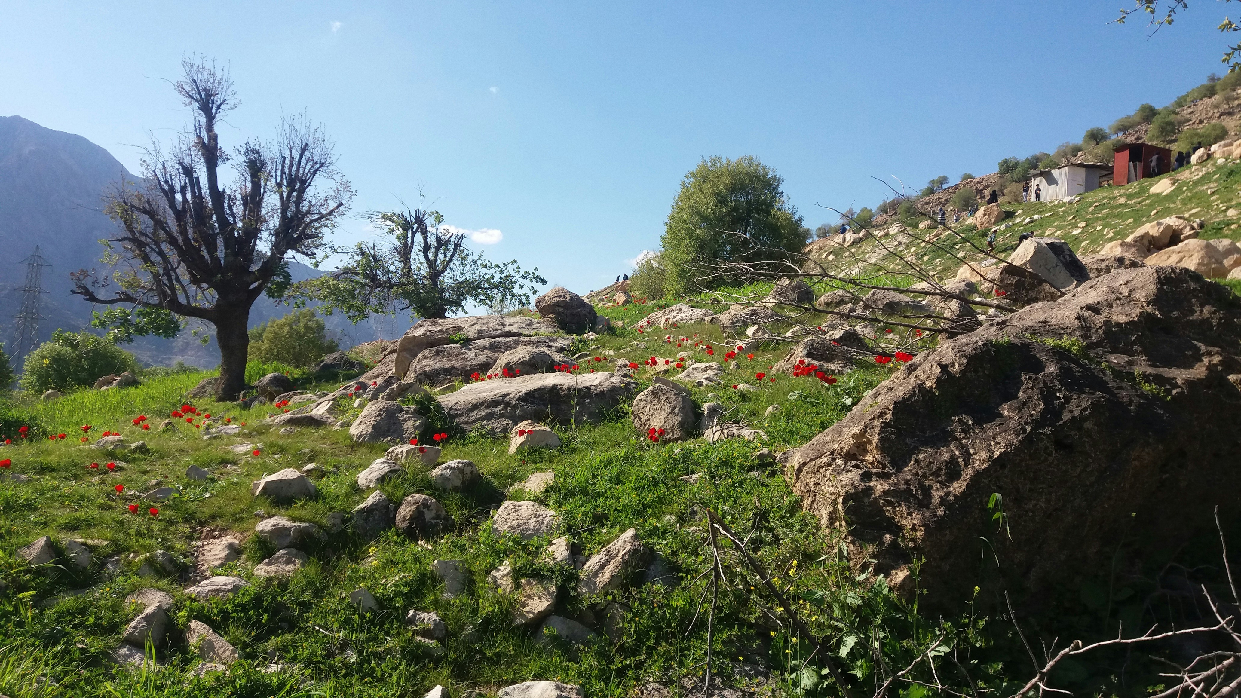 Bijan Ahmadi (@bijan1987) | Unsplash Photo Community