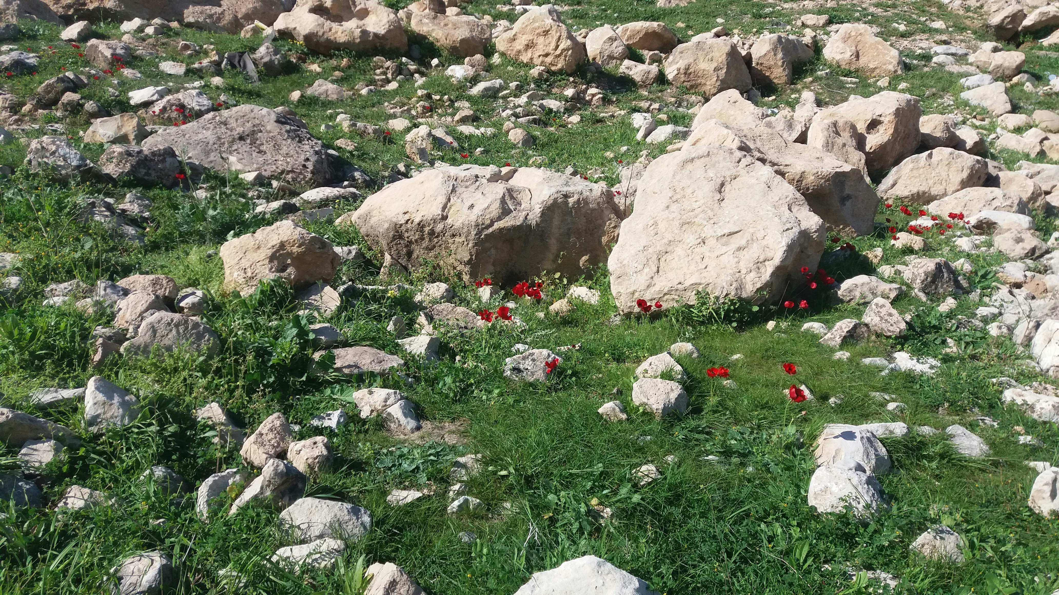 Bijan Ahmadi (@bijan1987) | Unsplash Photo Community