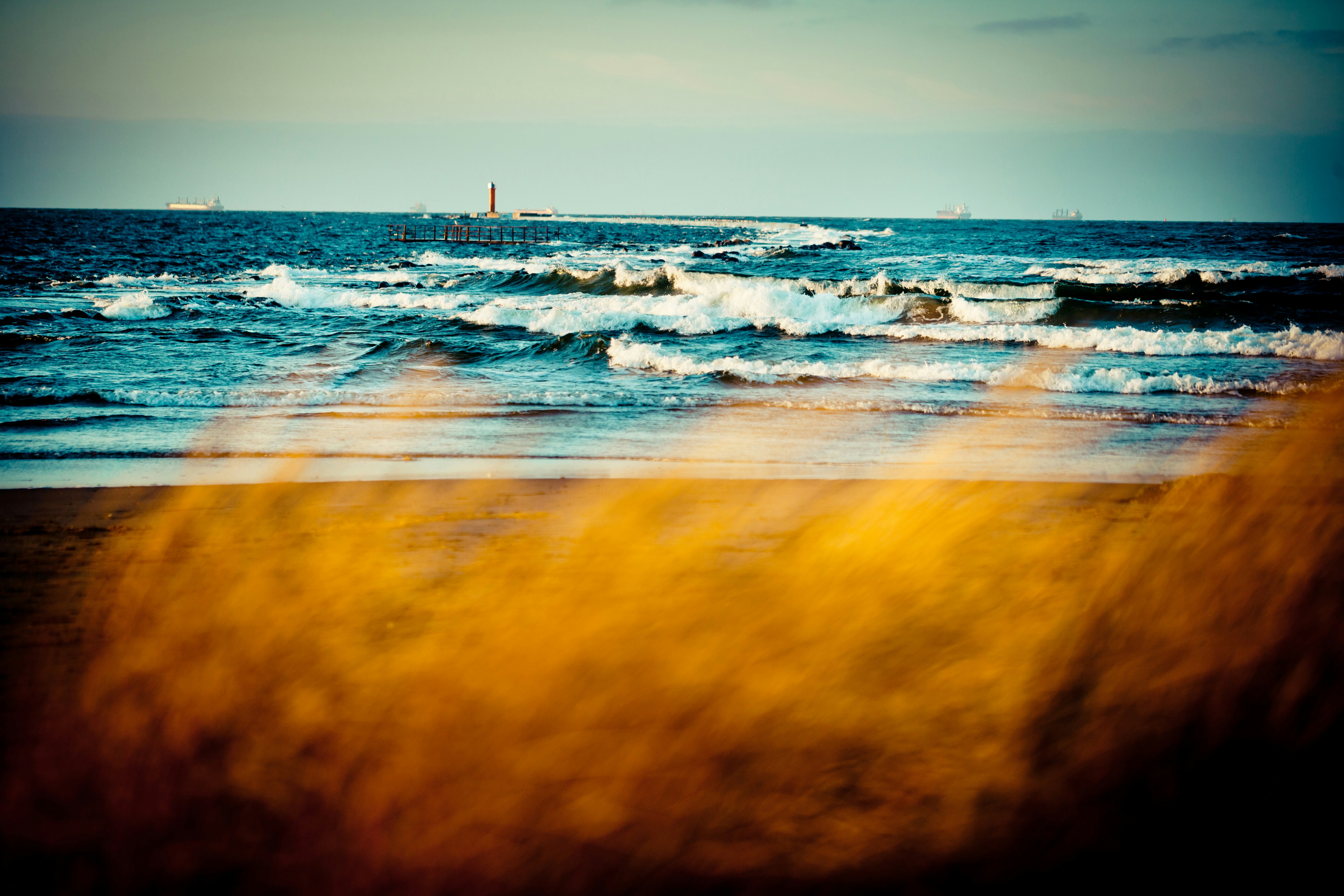 Horizon Drift: Waves Meet Heat-Burnished Grass