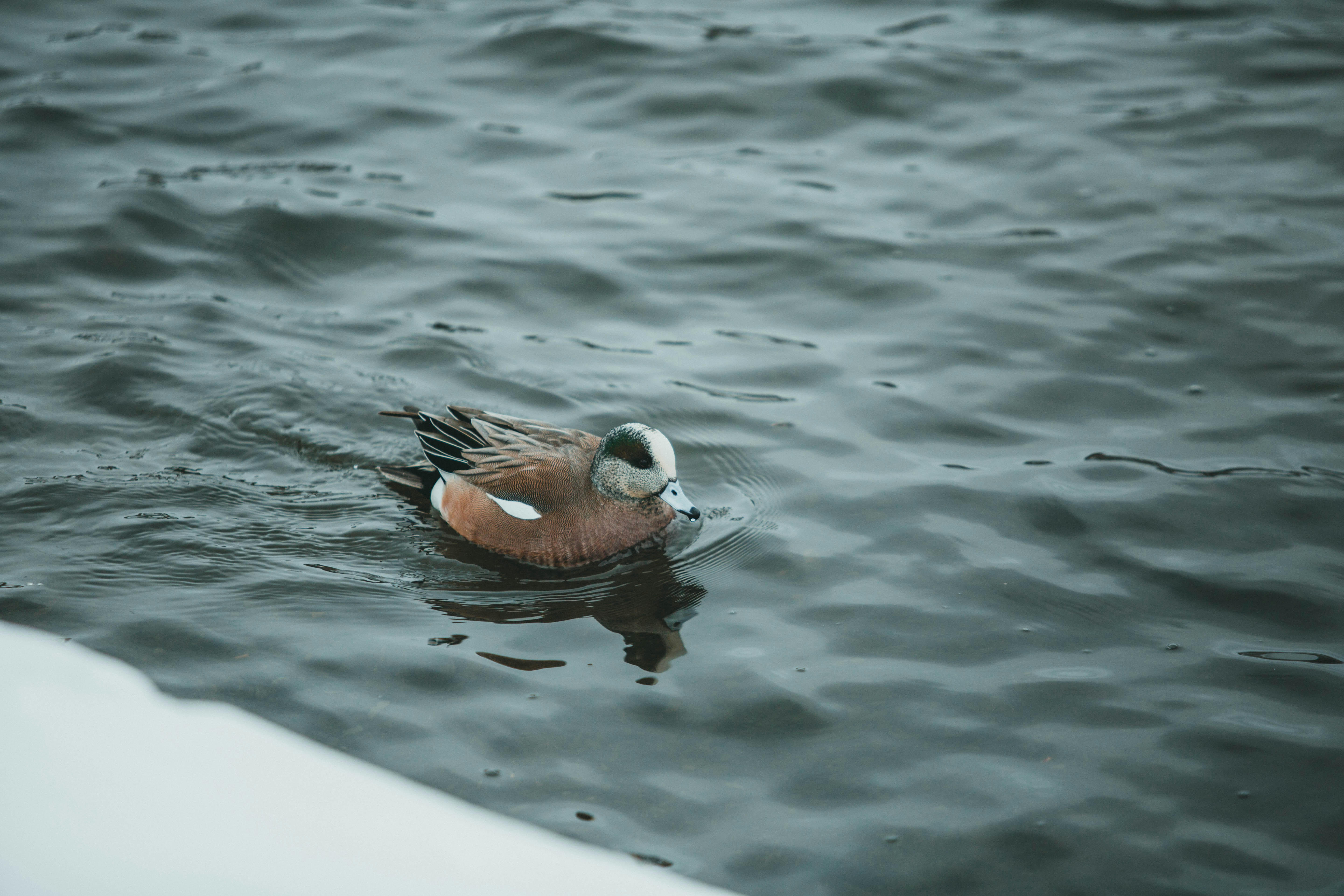 Photo by Jonathan Cooper with Canon EOS 5D Mark III