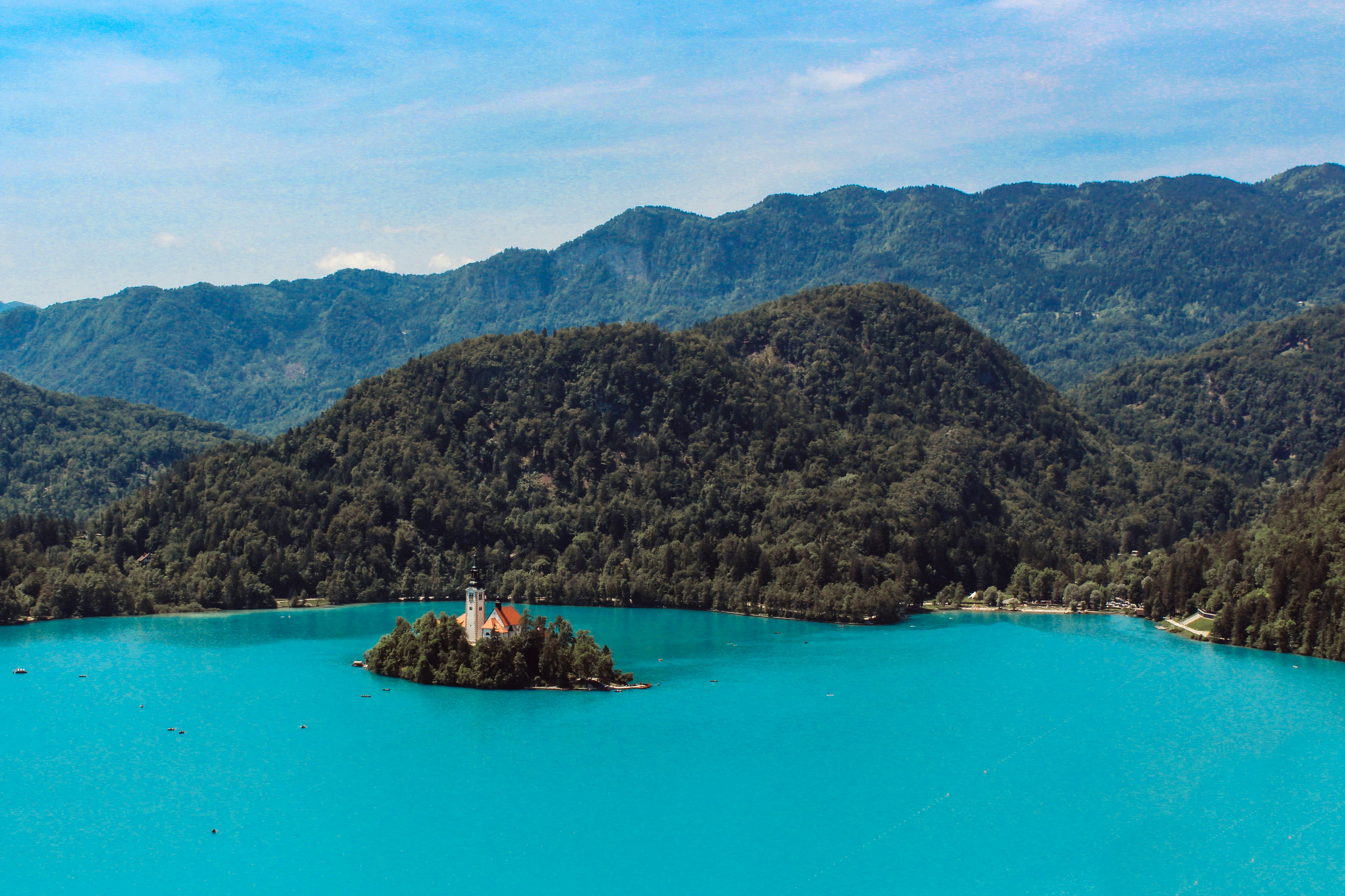 green trees on island surrounded by water during daytime