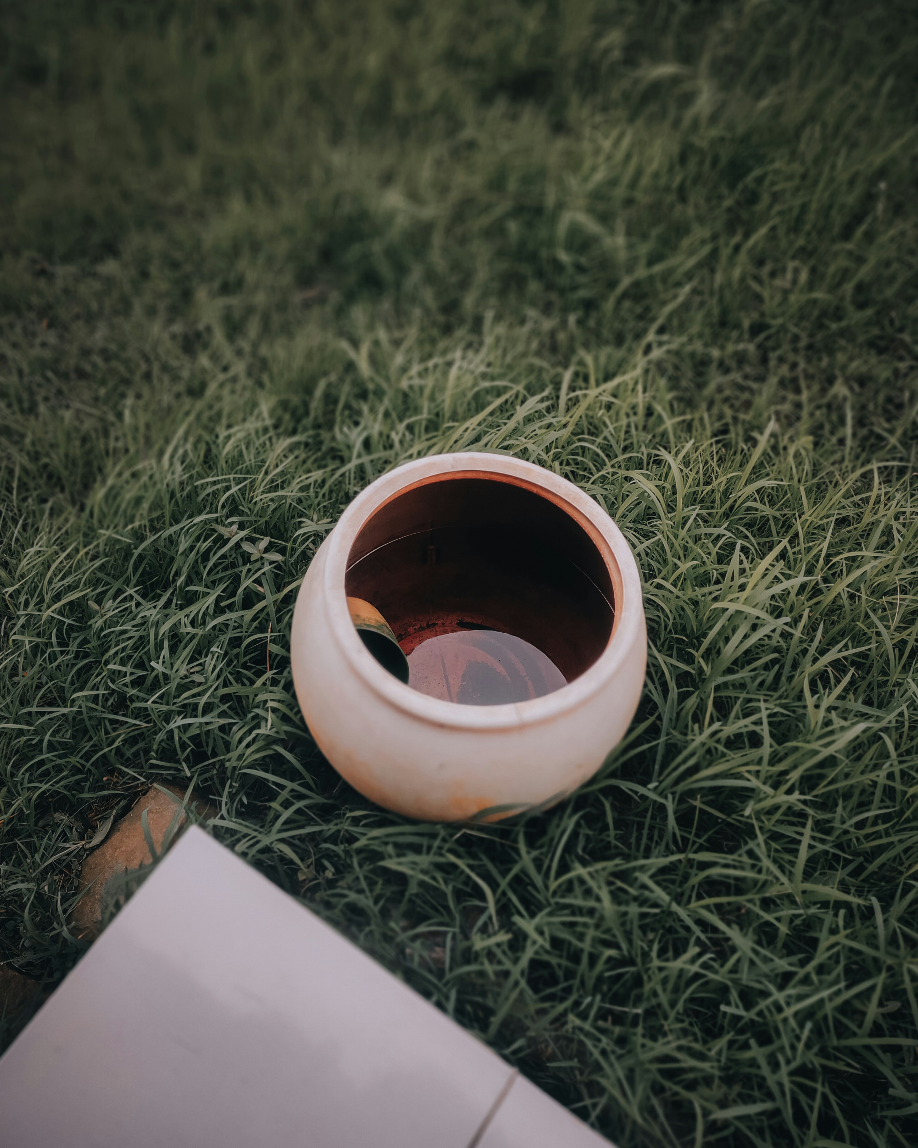 A ceramic pot resting on lush green grass, reflecting the surrounding environment. The contrast between the pot and the grass creates a serene atmosphere.