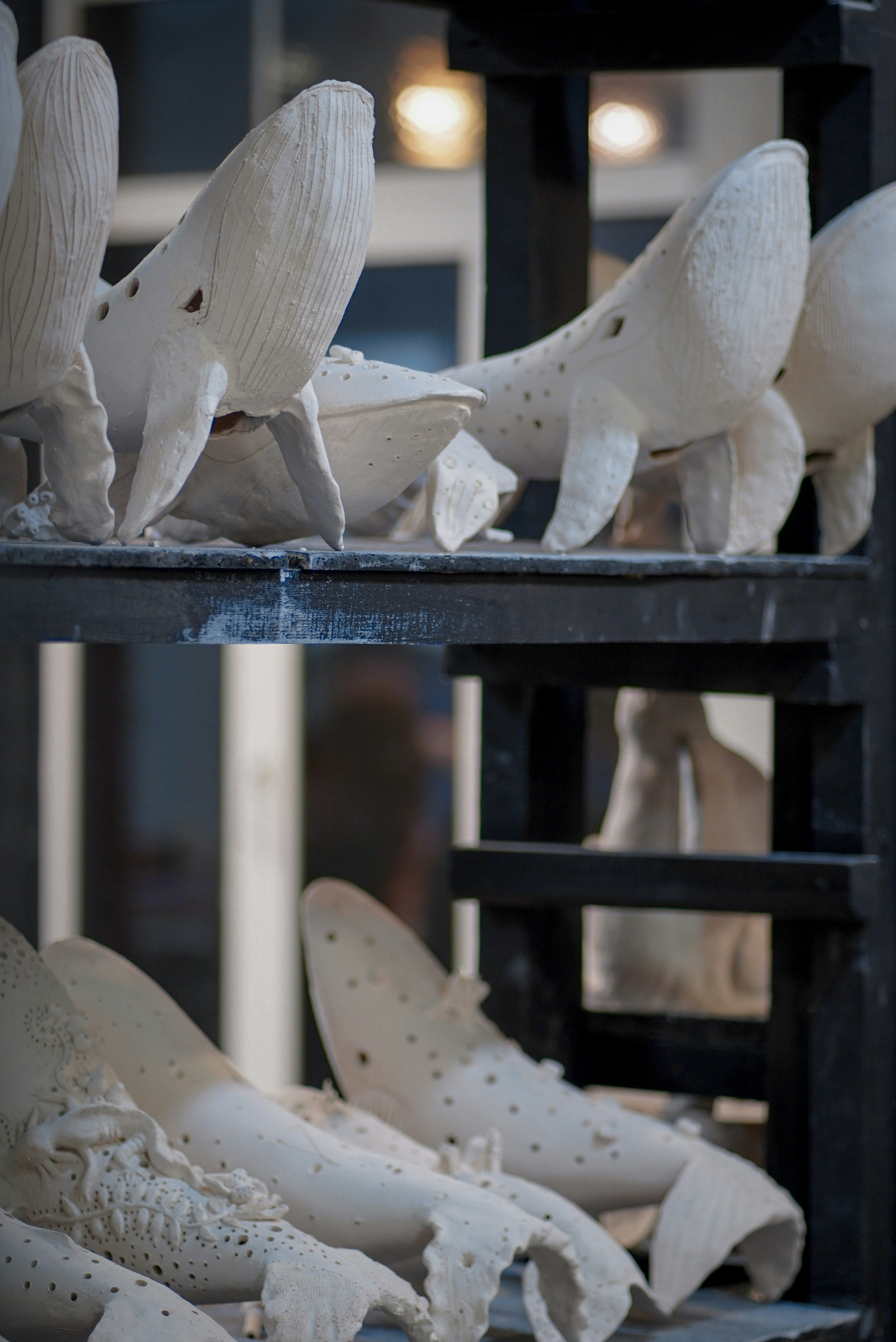 White Coral Fragments on a Shadowed Industrial Shelf
