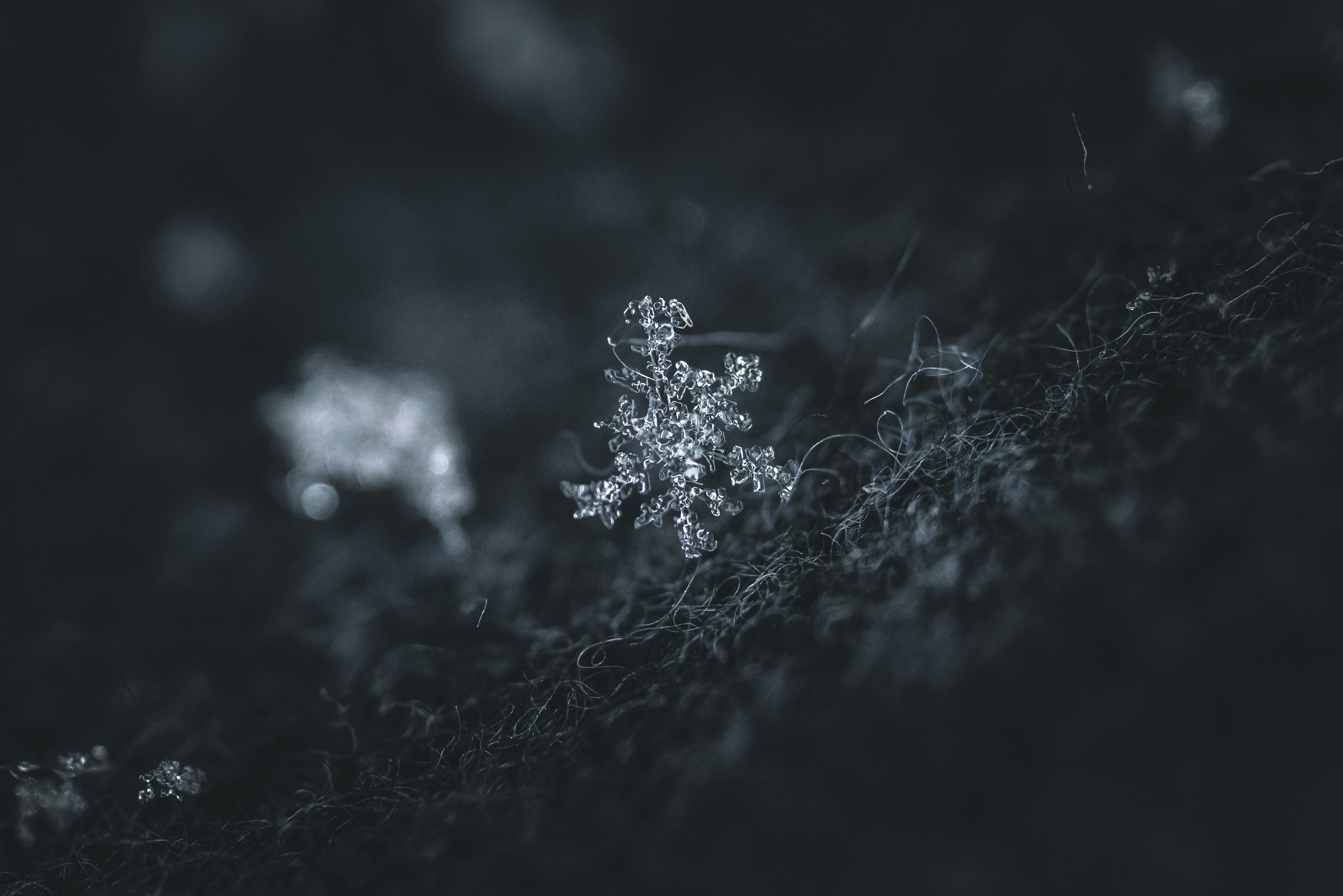 Delicate snowflake resting on a textured surface in low light.