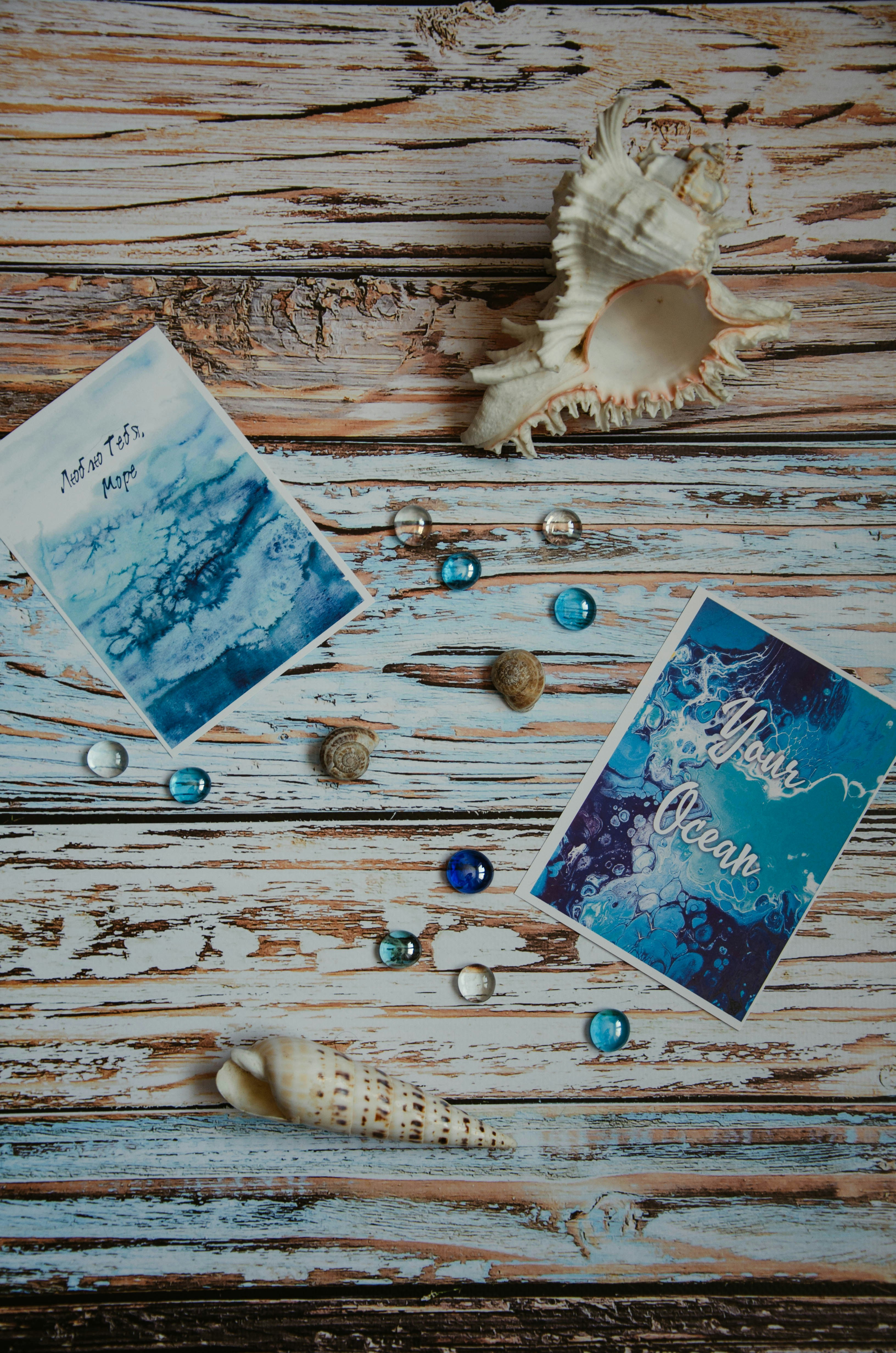 Oceanic Keepsakes on a Weathered Boardwalk