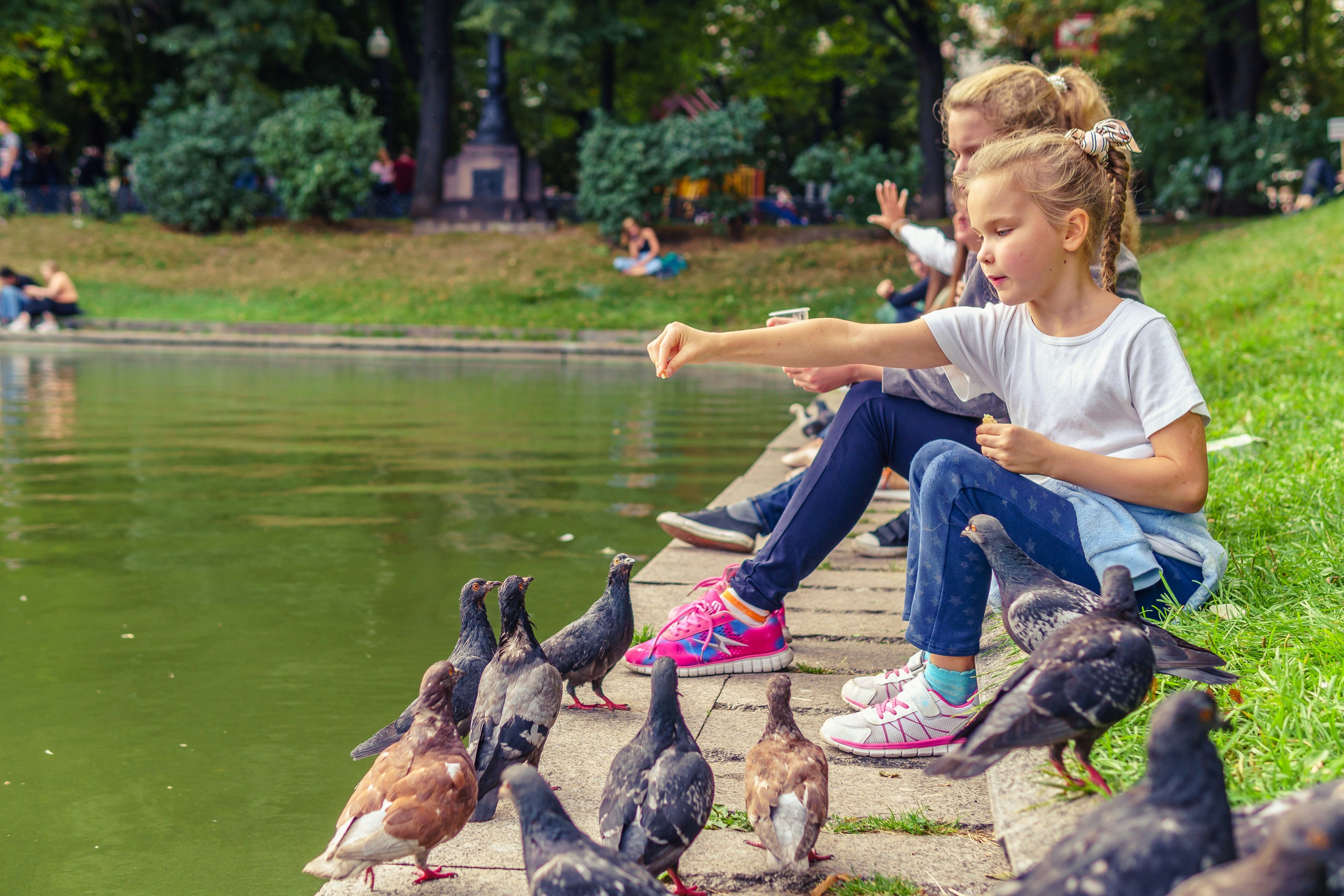 Choreographed Moment: Little Feeders by the Riverside