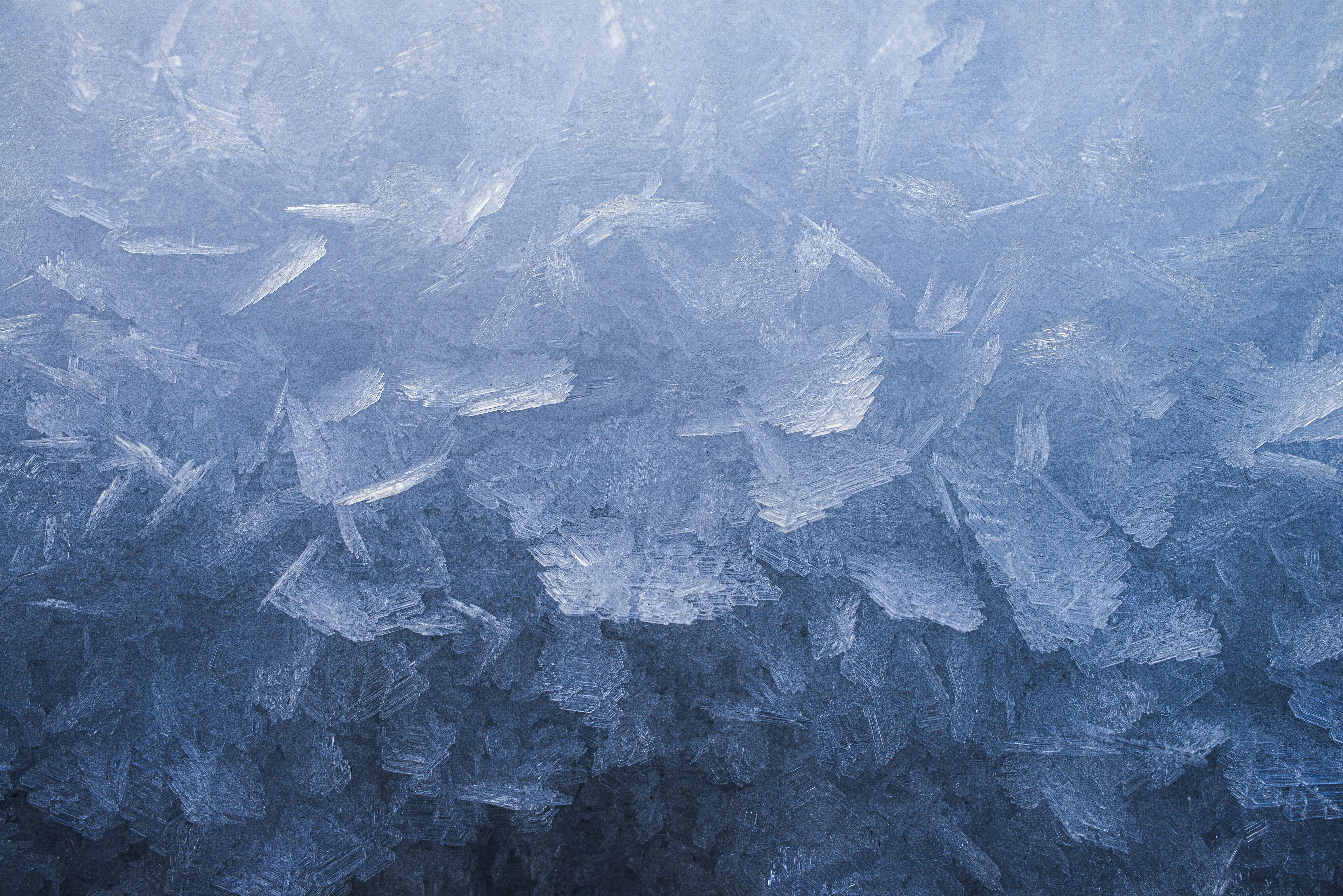 Close-up of delicate, overlapping ice crystals forming a textured pattern.