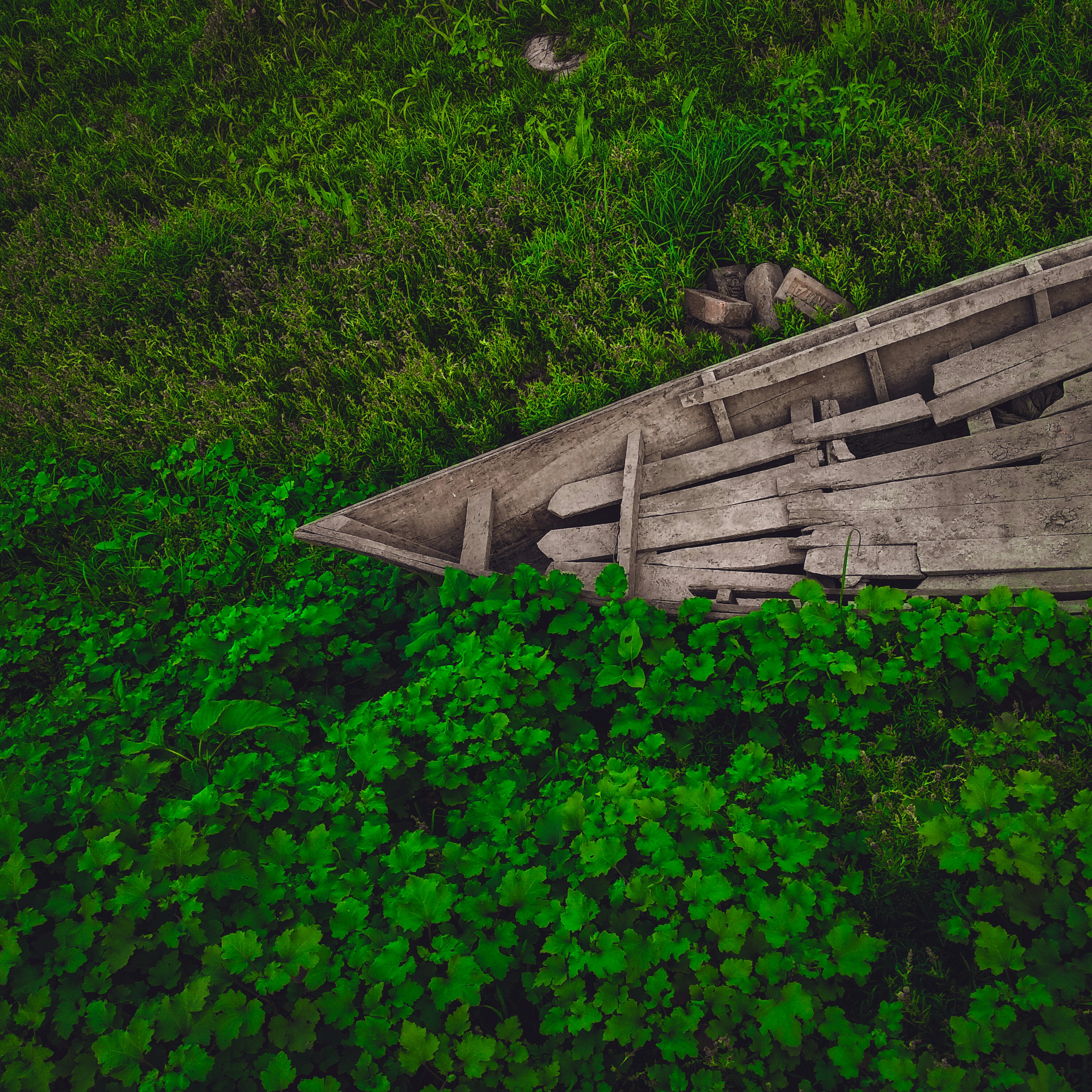 Verdant Reclamation: A Weathered Boat Nestled in Dense Grass