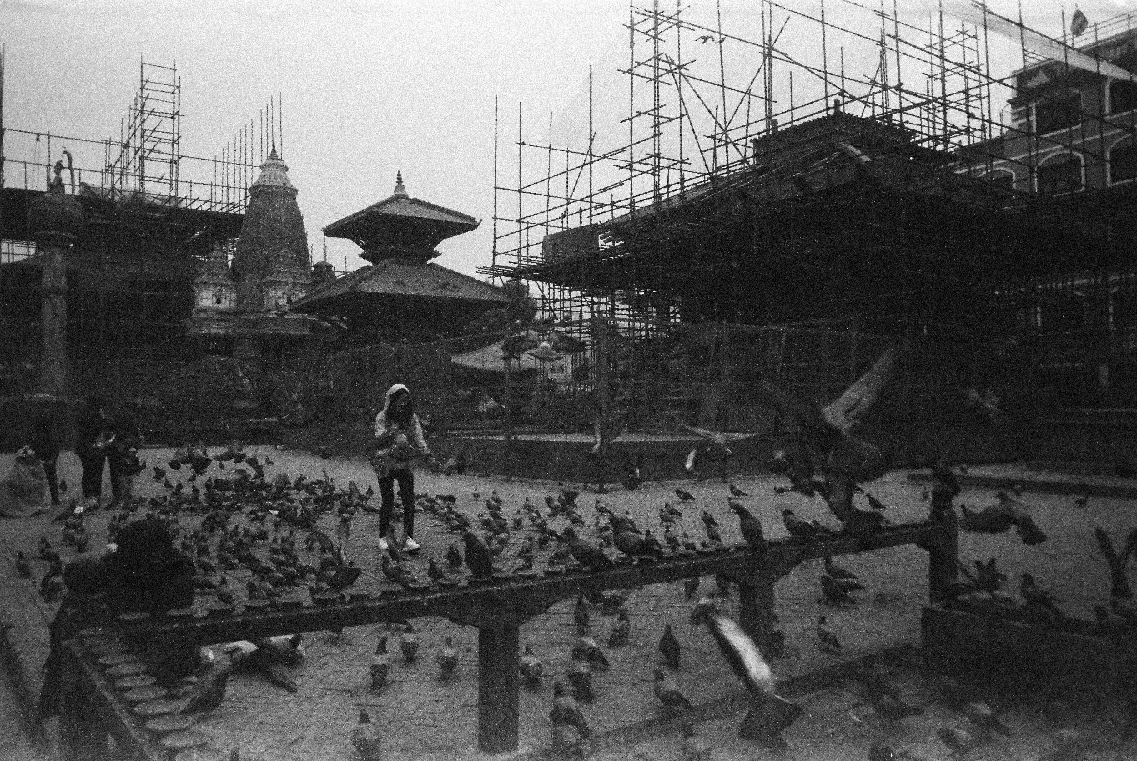 A bustling square filled with pigeons and people, framed by scaffolding and traditional architecture undergoing restoration.