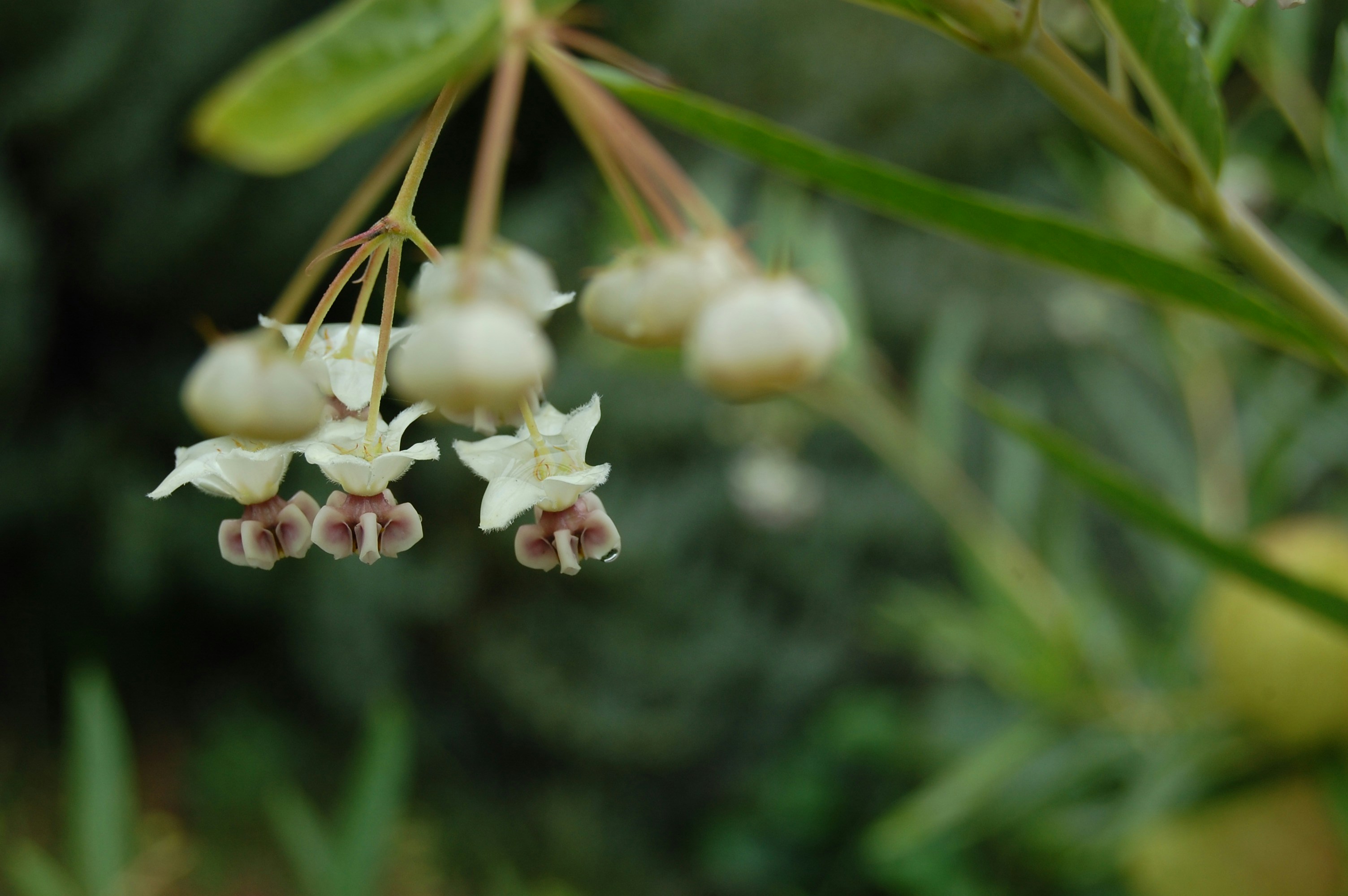 Ângela Cristina Pereira Ribeiro (@agcparibeiro) | Unsplash 사진 커뮤니티