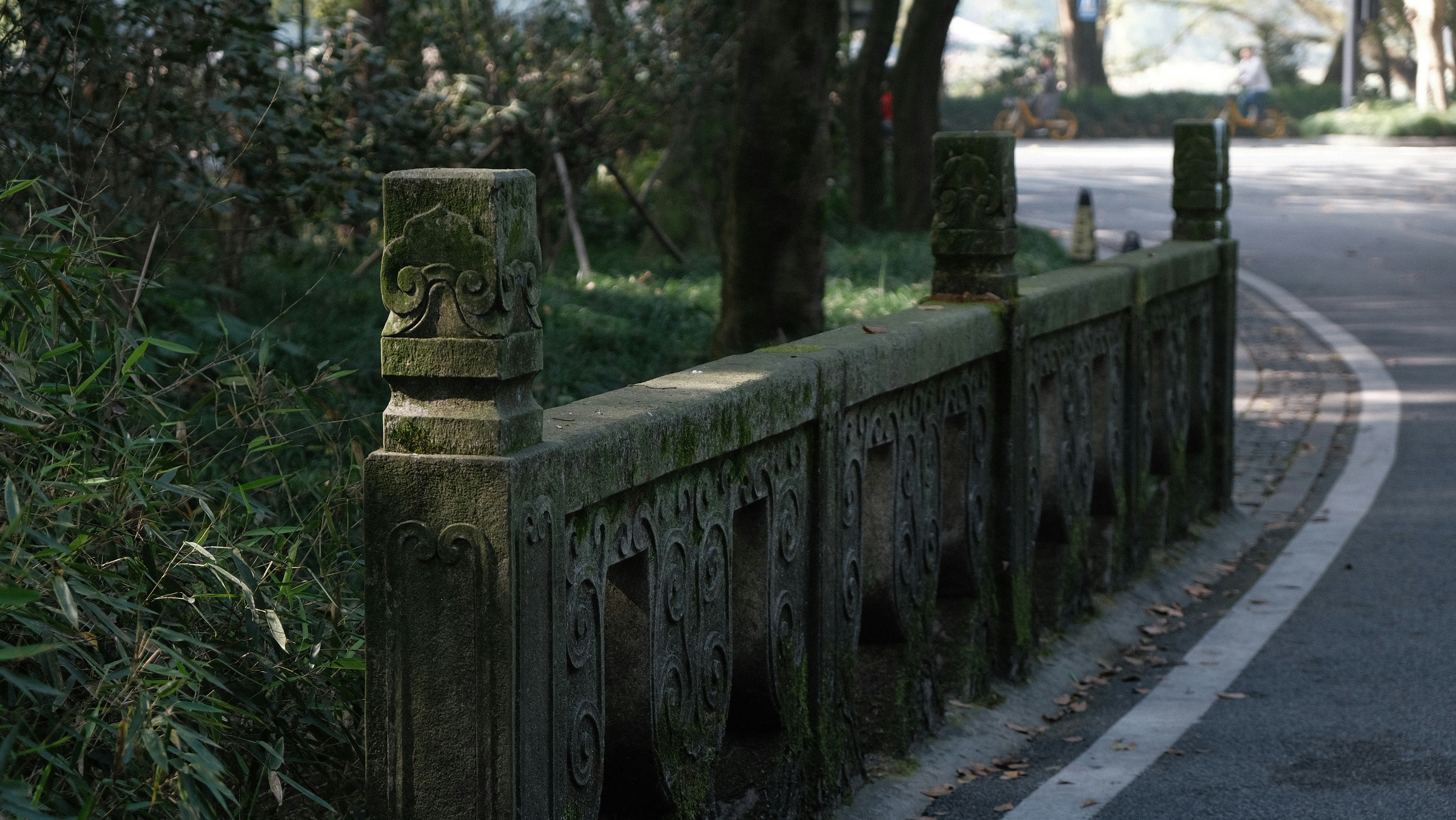 Echoes in Stone: A Winded Park Rail Guiding Through Dappled Shade