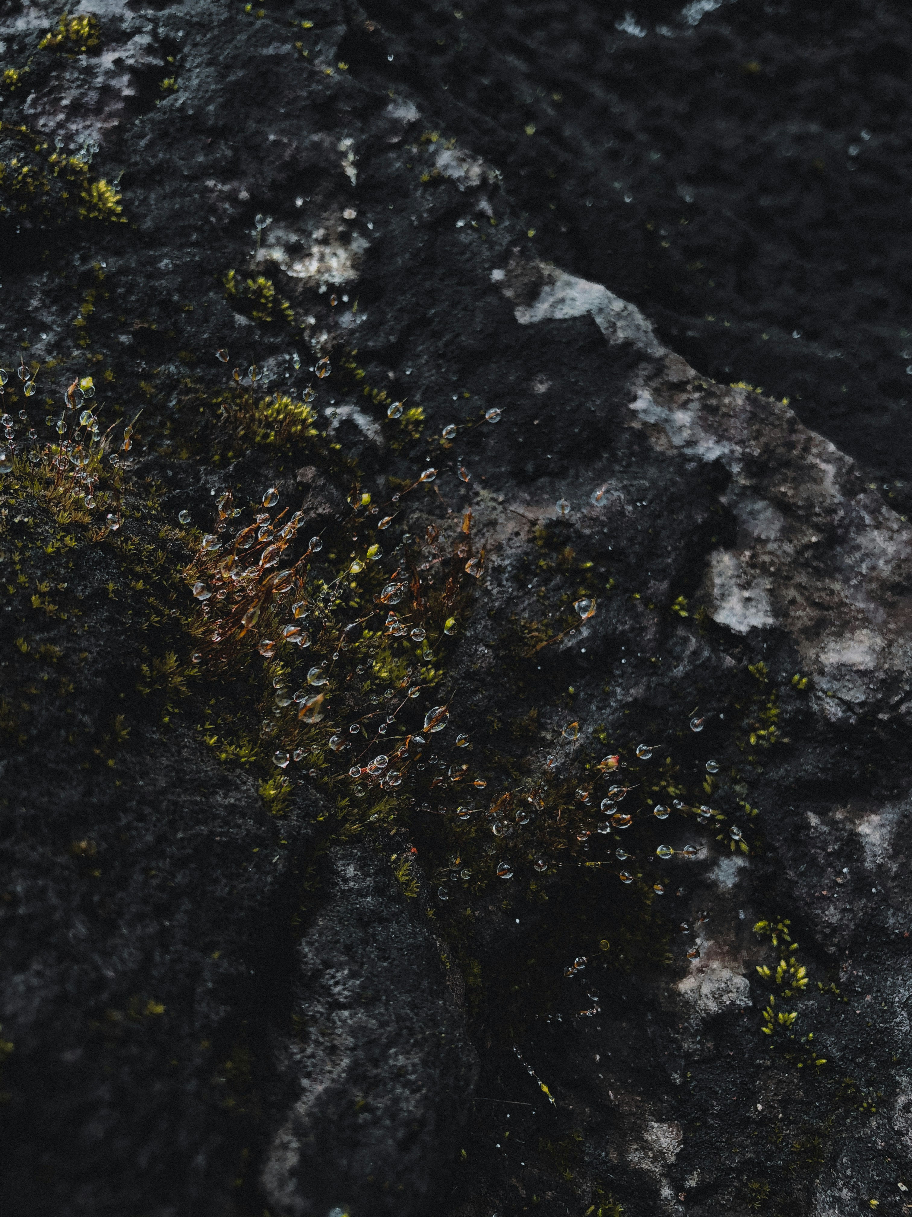 Black and gray rock formation photo – Free Texture Image on Unsplash