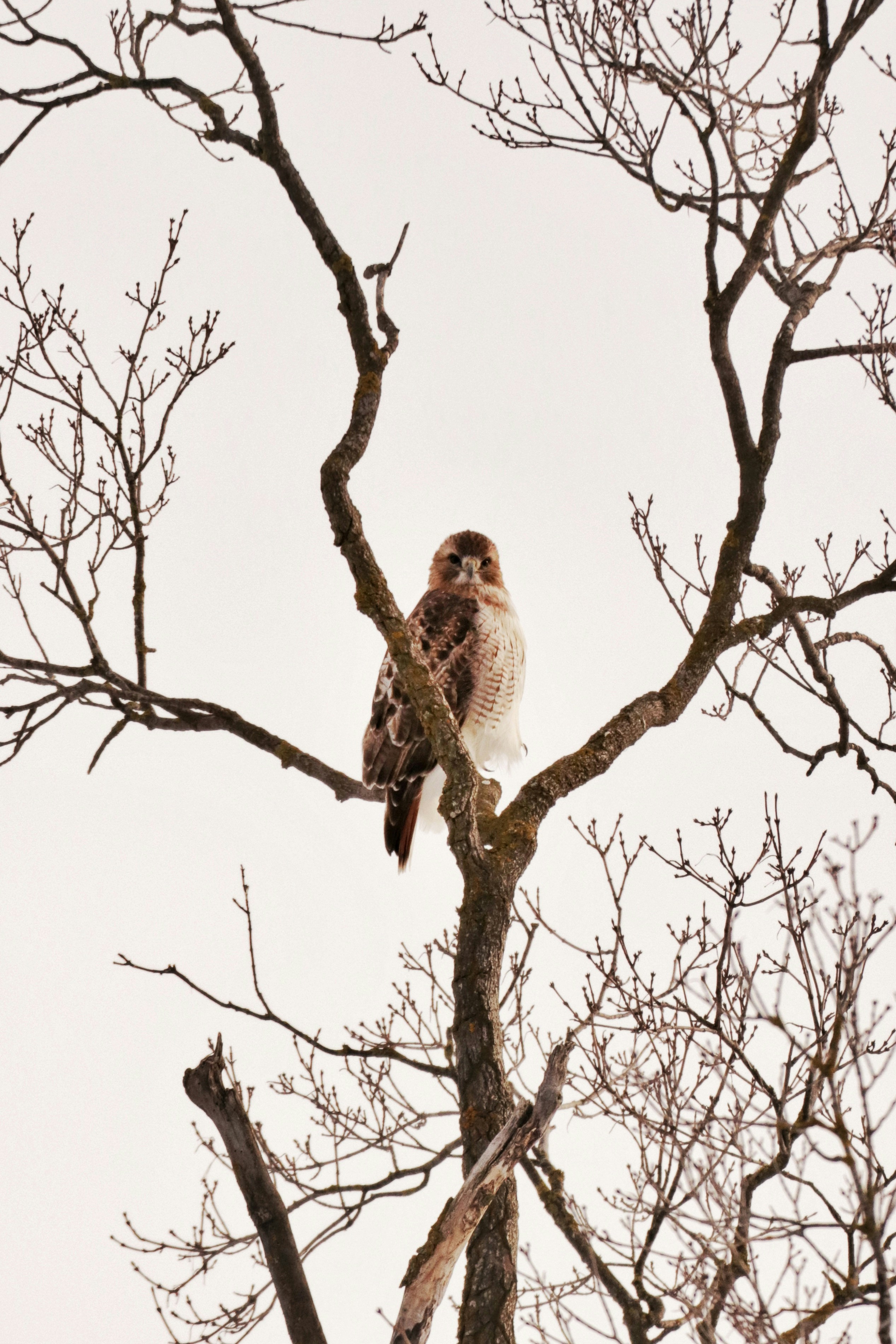 Imágenes de Hawkesville | Descarga imágenes gratuitas en Unsplash