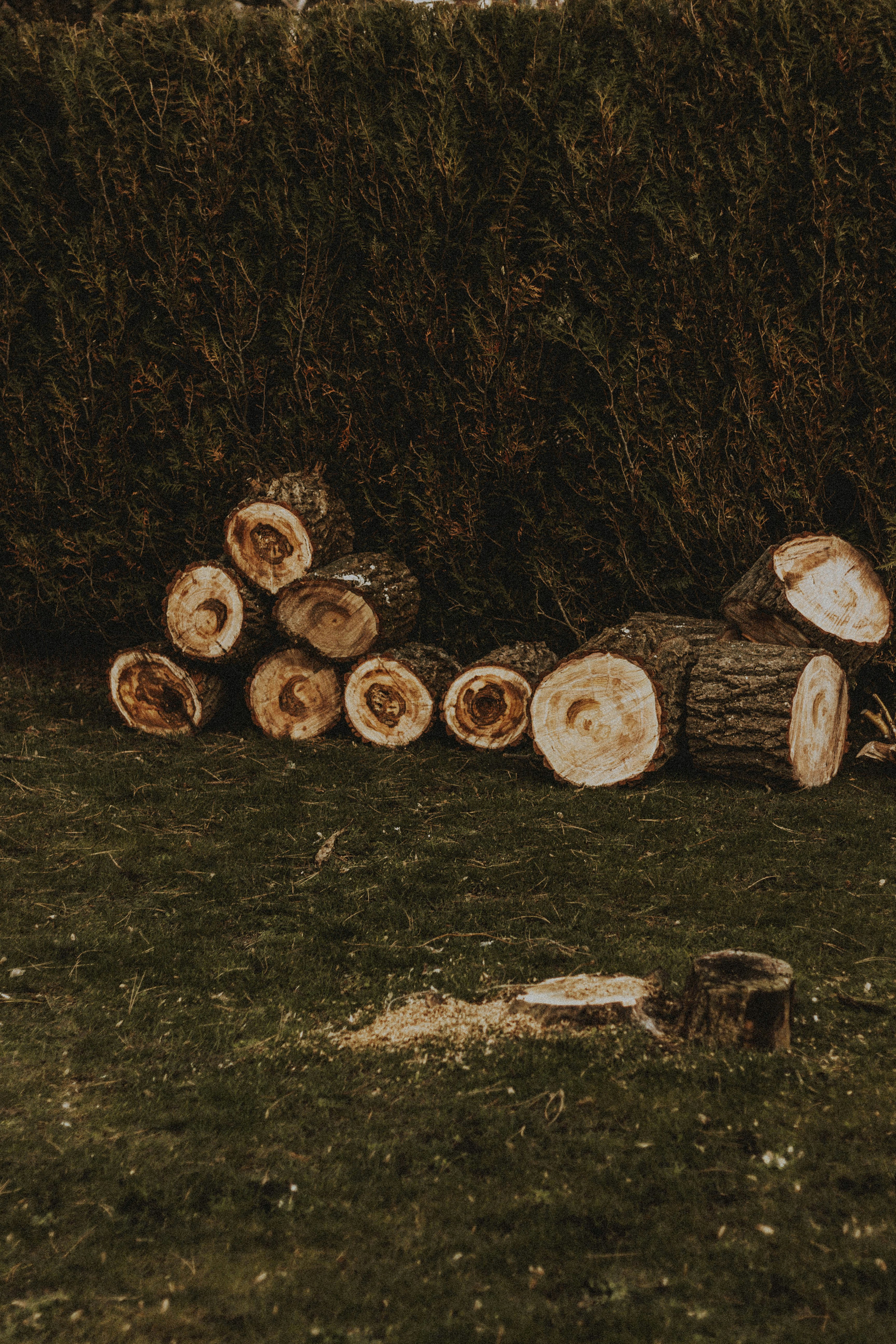 brown wooden logs on green grass field during daytime