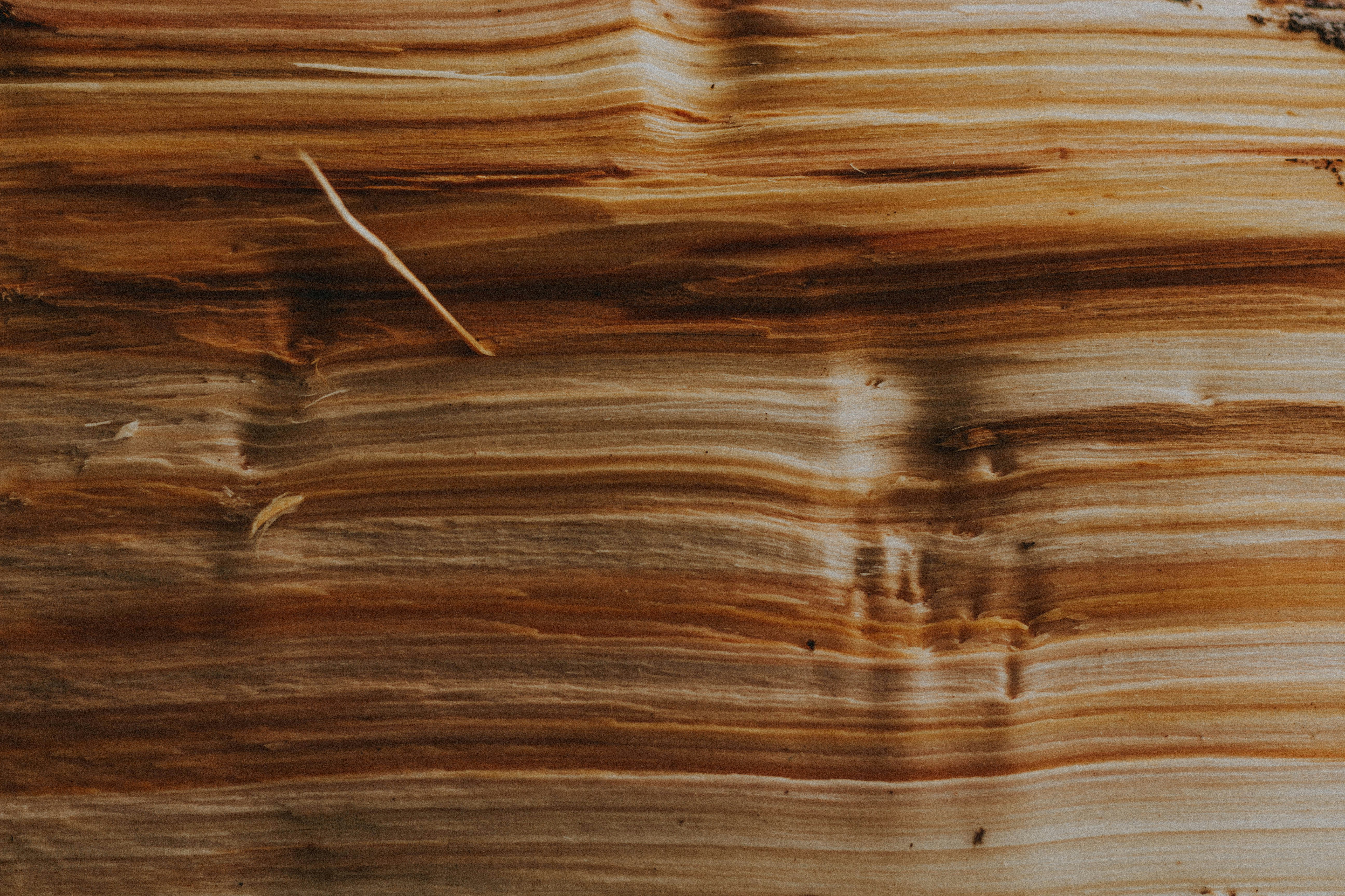 Amber Strata and a Lone Twig: Close-Up of Weathered Wood Grain