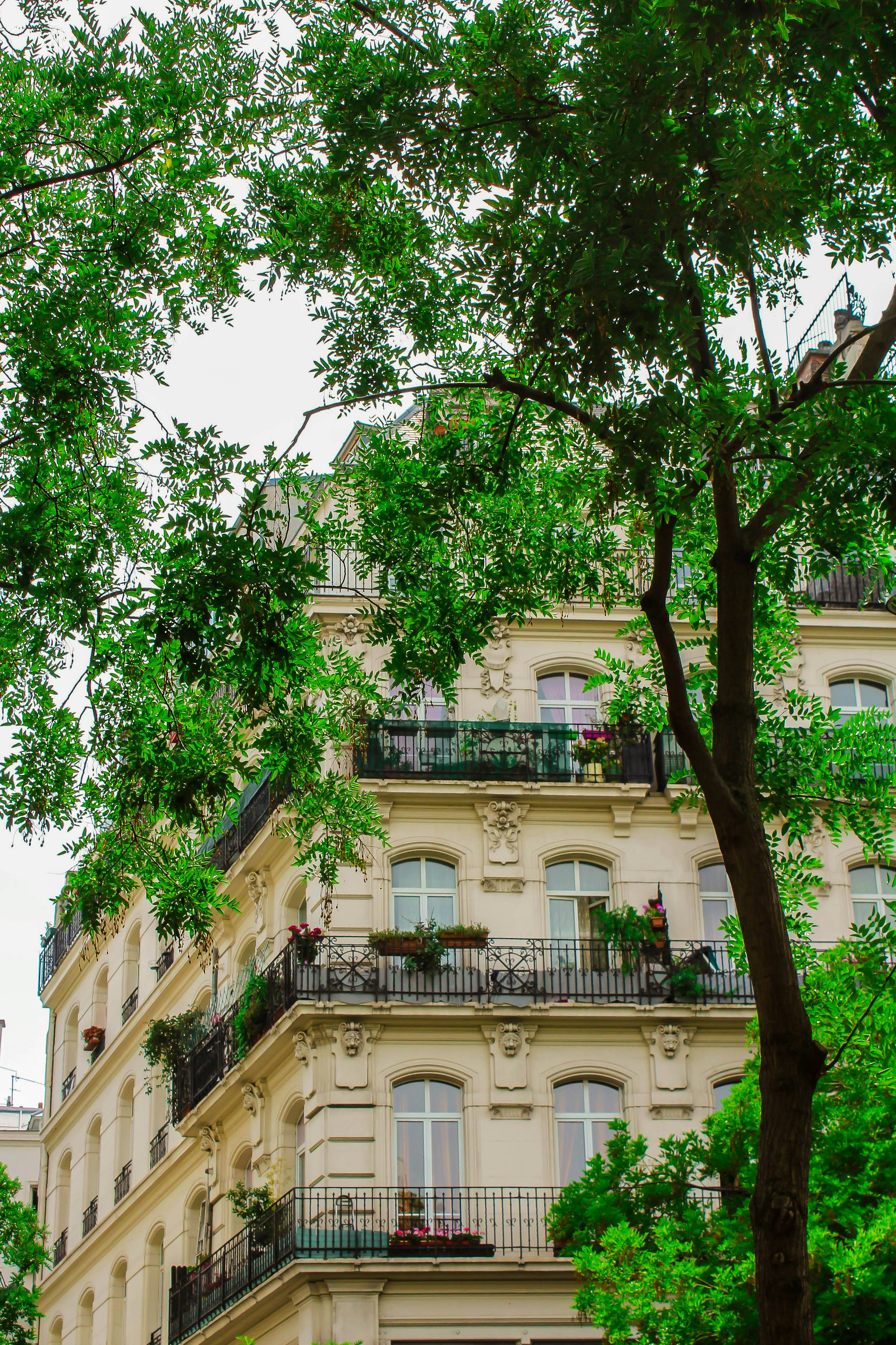 A classic Parisian building rises behind a lush, leafy canopy, balconies adorned with plants and flowers. The vertical composition emphasizes architectural detail through the trees.